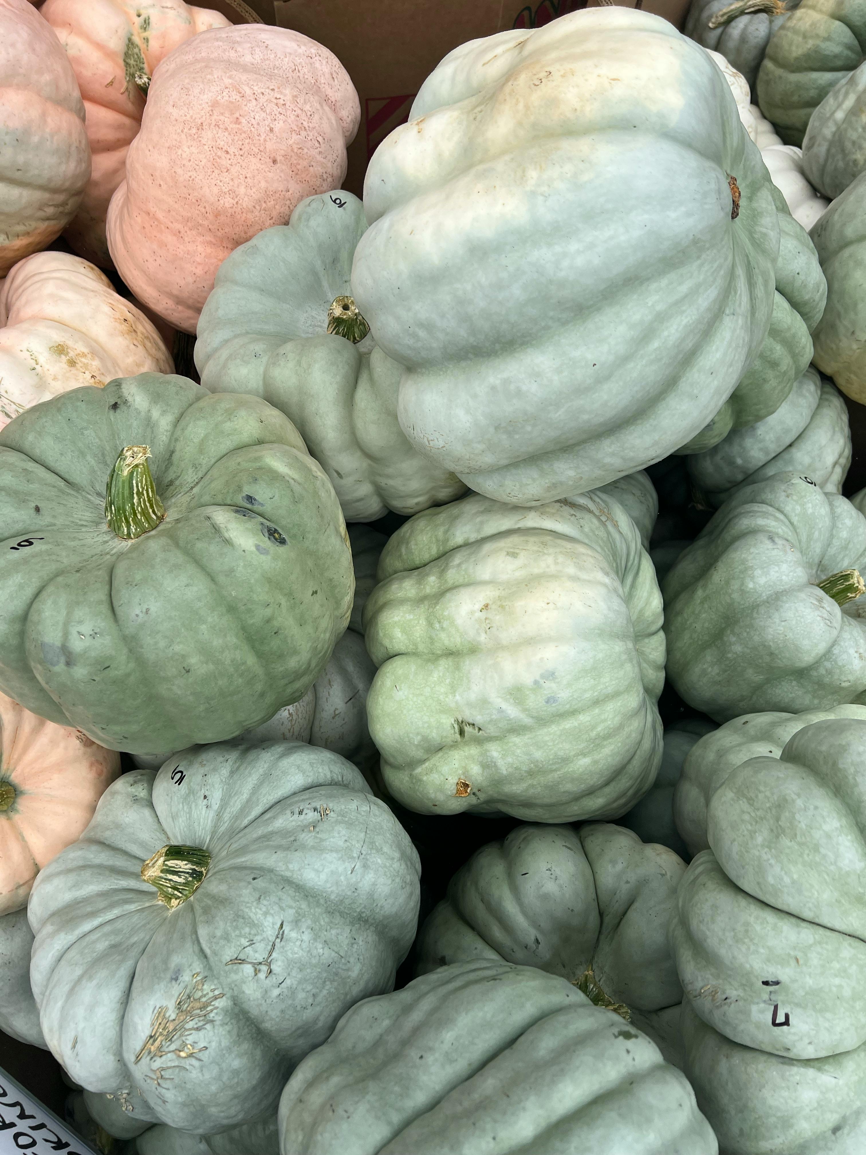 Background Barangay Photos, Download The BEST Free Background Barangay ...