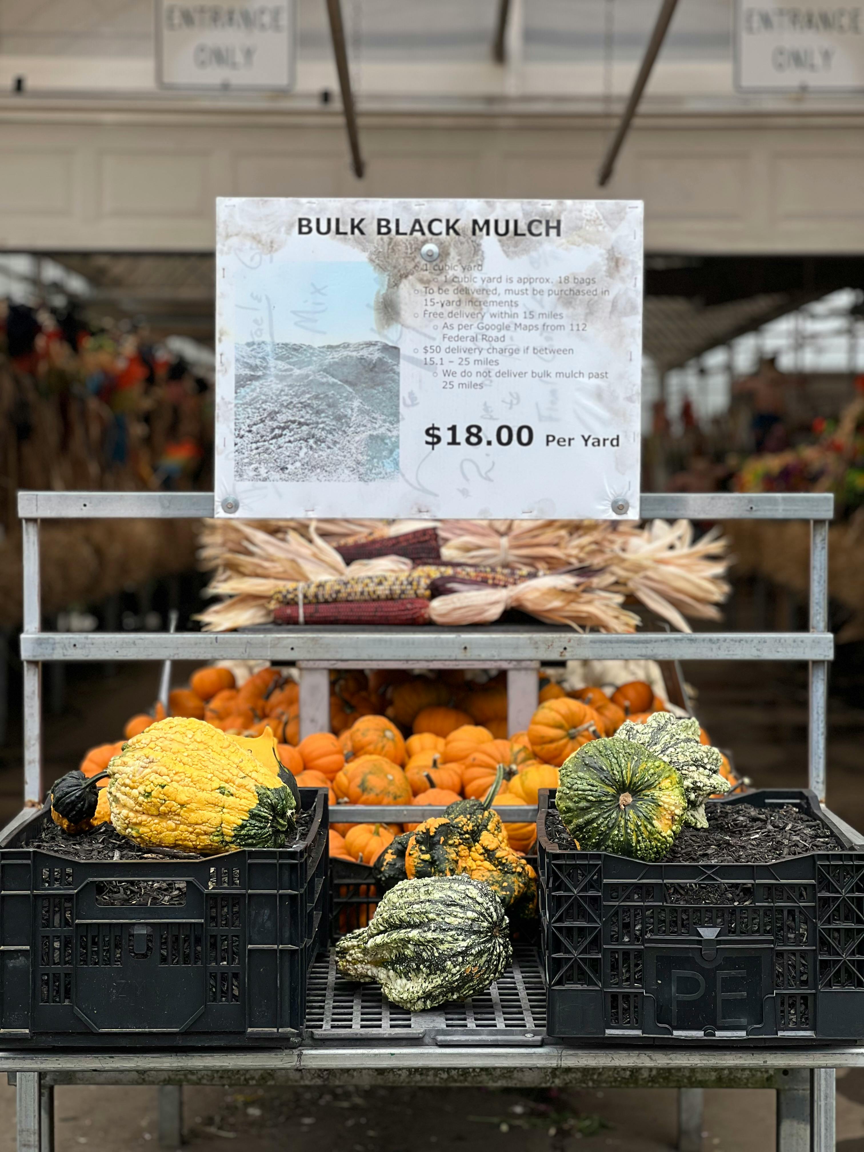 Fall Harvest Display with Gourds and Pumpkins · Free Stock Photo