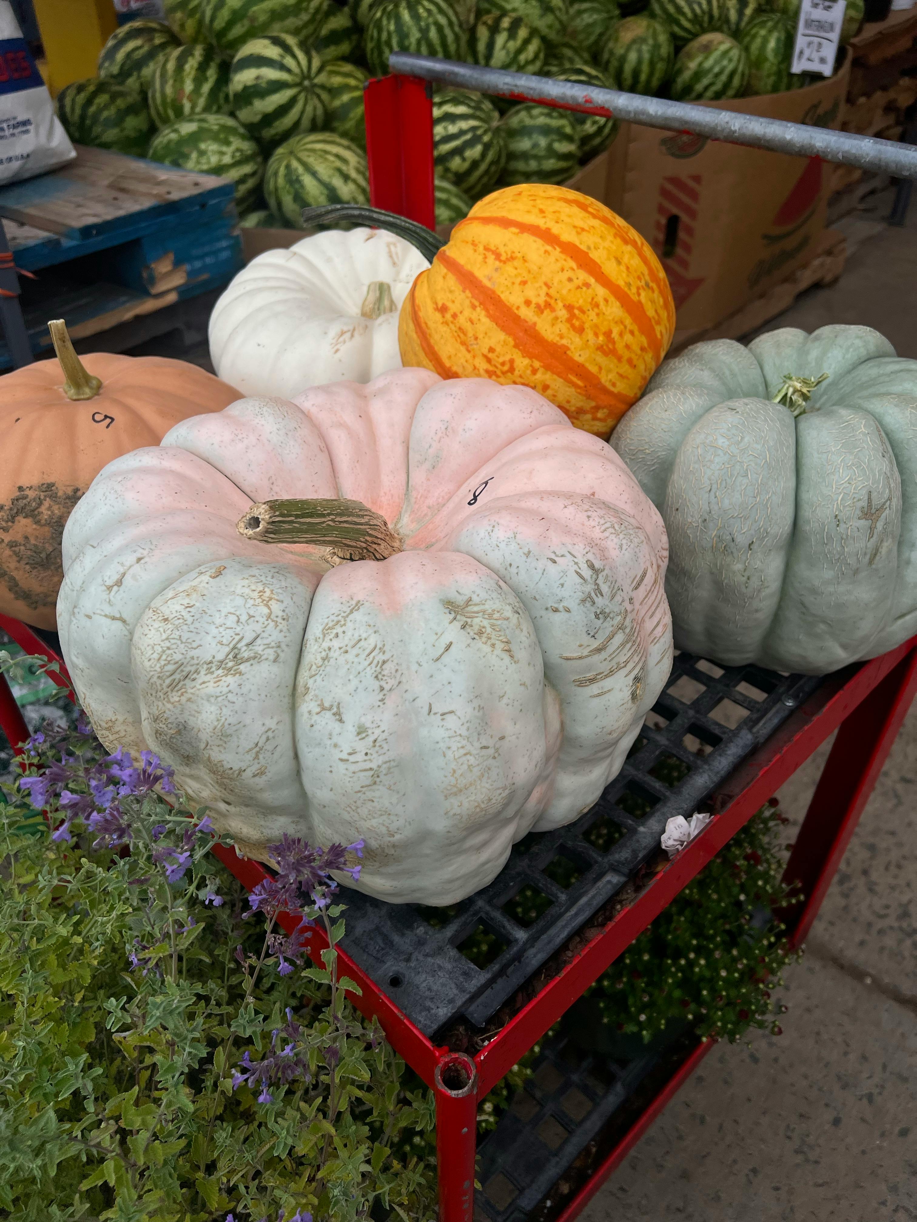 20 000+ Freepik+affiche+psd banque d’images et photos libres de droit ...