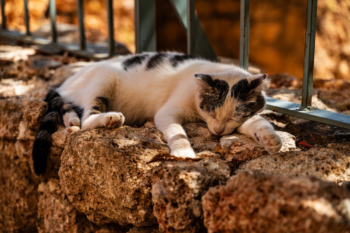 Coding 8k Wallpapers Photos, Download The BEST Free Coding 8k ...