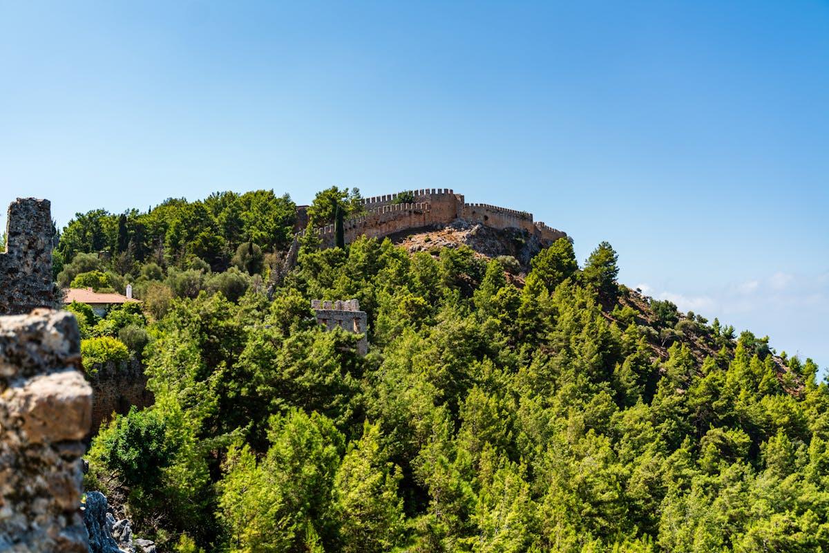 Nature High Resolution Photos, Download The BEST Free Nature High ...