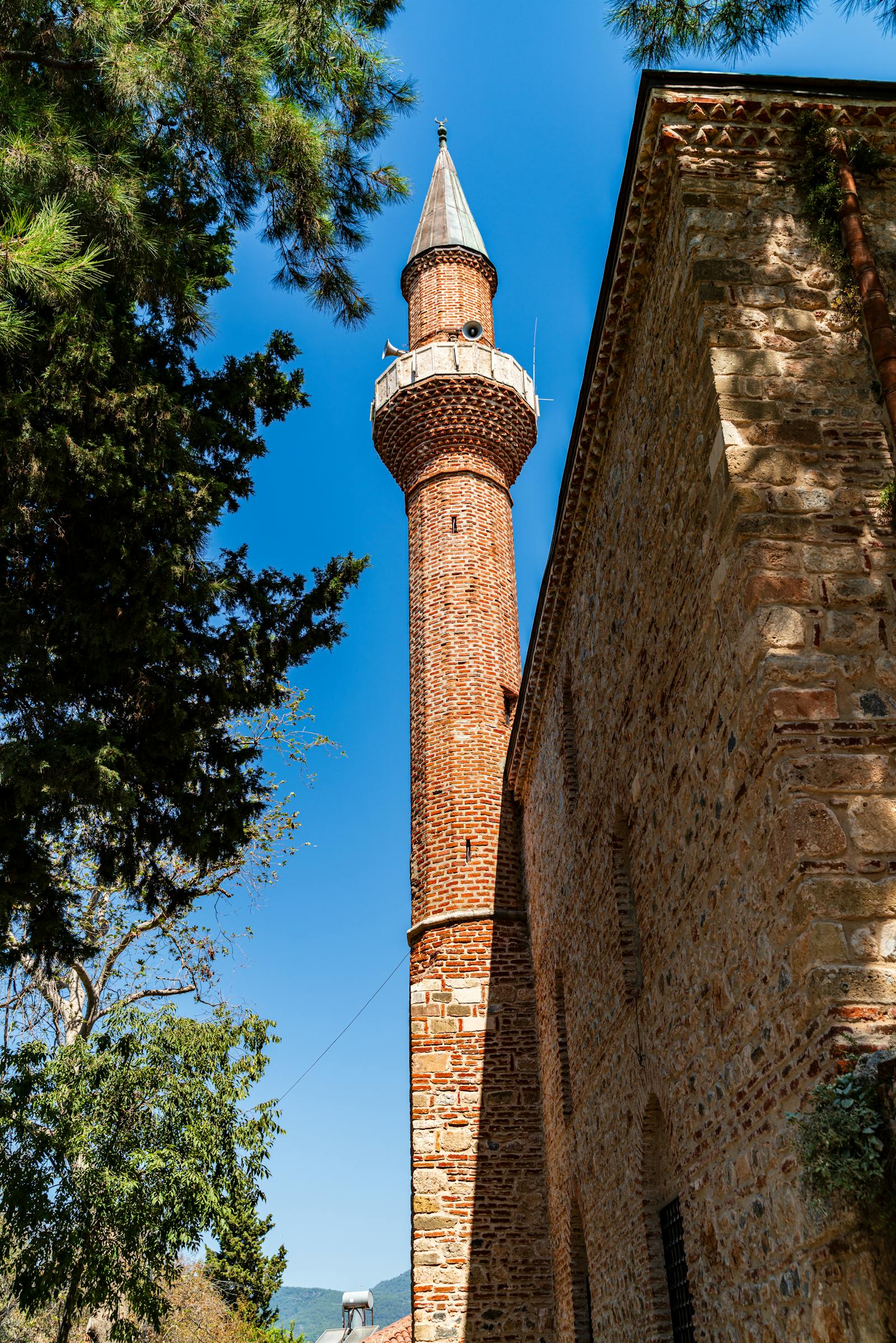 Spicy+Big+Butts Photos, Download The BEST Free Spicy+Big+Butts Stock ...