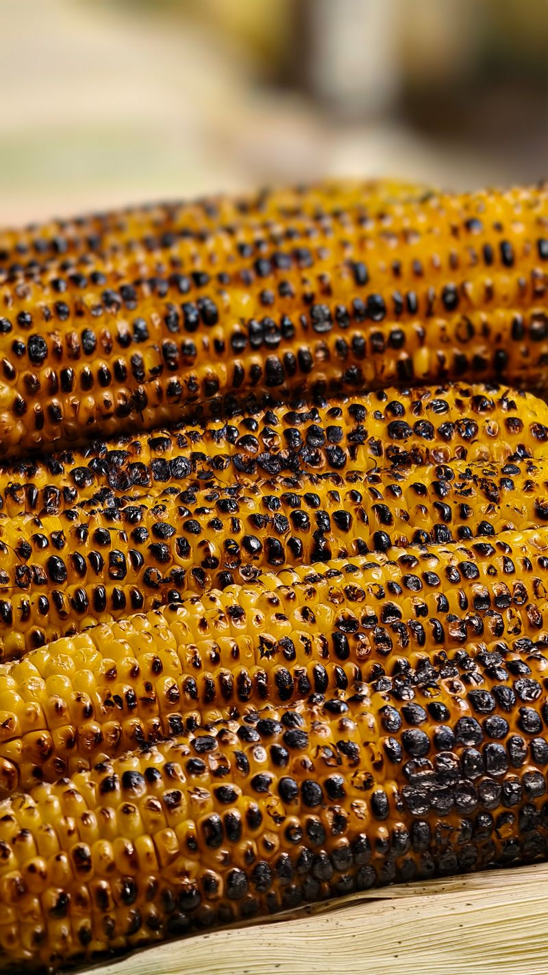 Corn On The Cob Photos, Download The BEST Free Corn On The Cob Stock ...