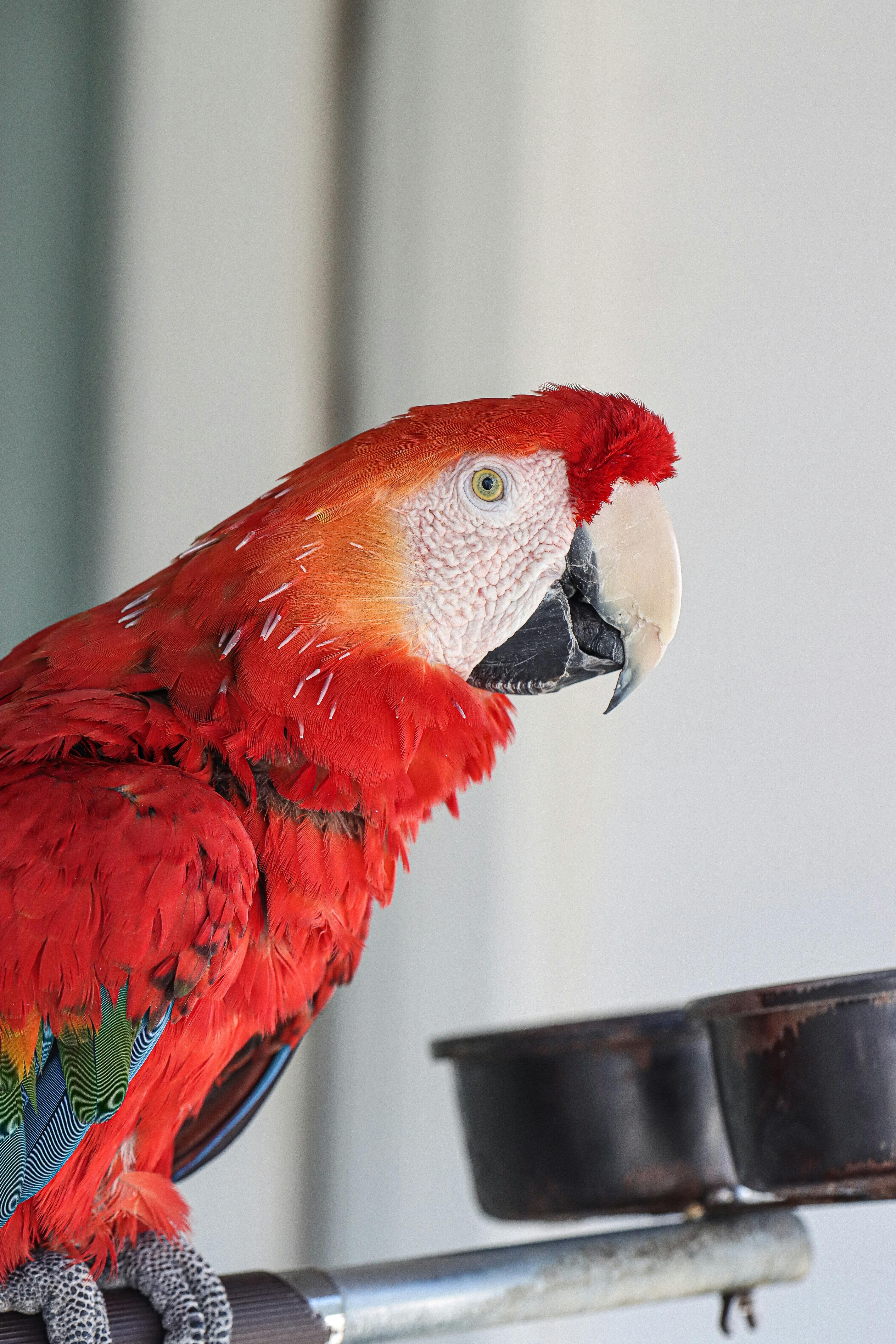 August Photos, Download The BEST Free August Stock Photos & HD Images