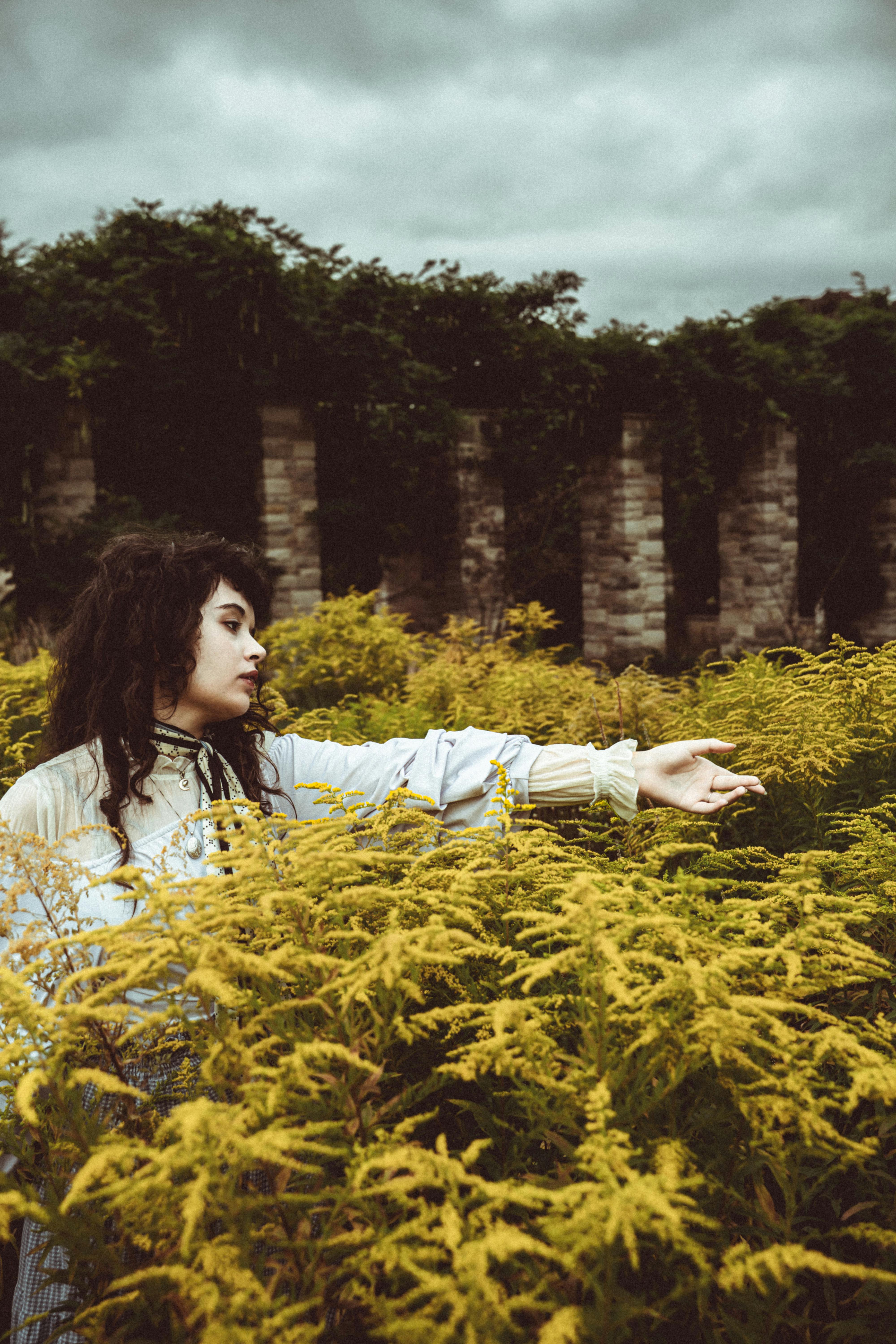 Free+Bitmap+Images Photos, Download The BEST Free Free+Bitmap+Images ...