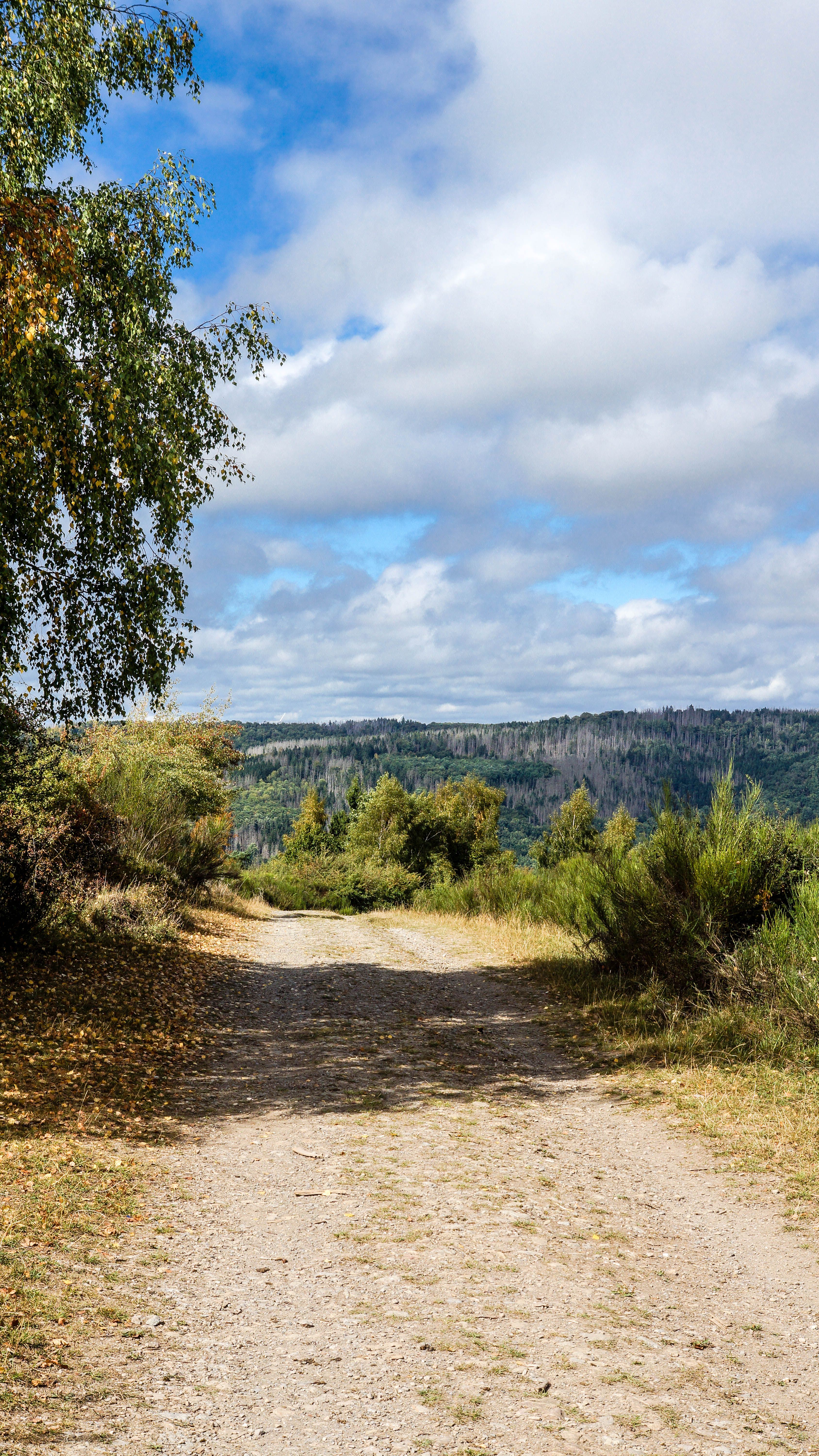 Road In Fall Photos, Download The BEST Free Road In Fall Stock Photos ...