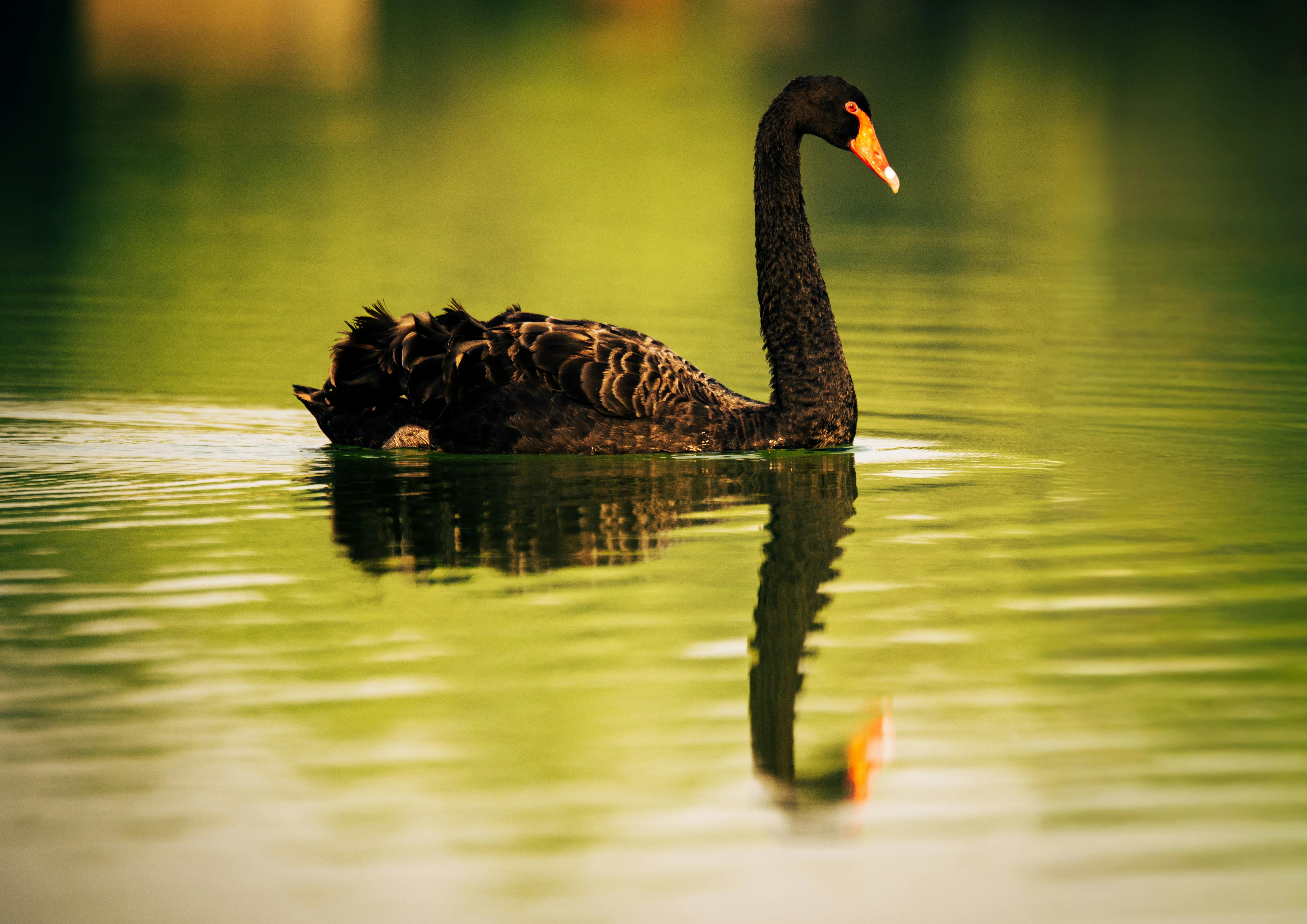 Free+Bitmap+Images Photos, Download The BEST Free Free+Bitmap+Images ...