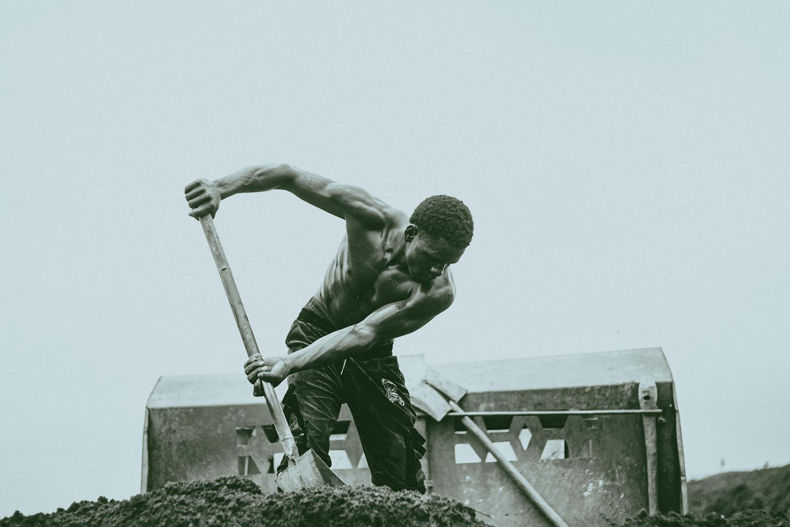 Skeletal Muscle Photos, Download The BEST Free Skeletal Muscle Stock ...