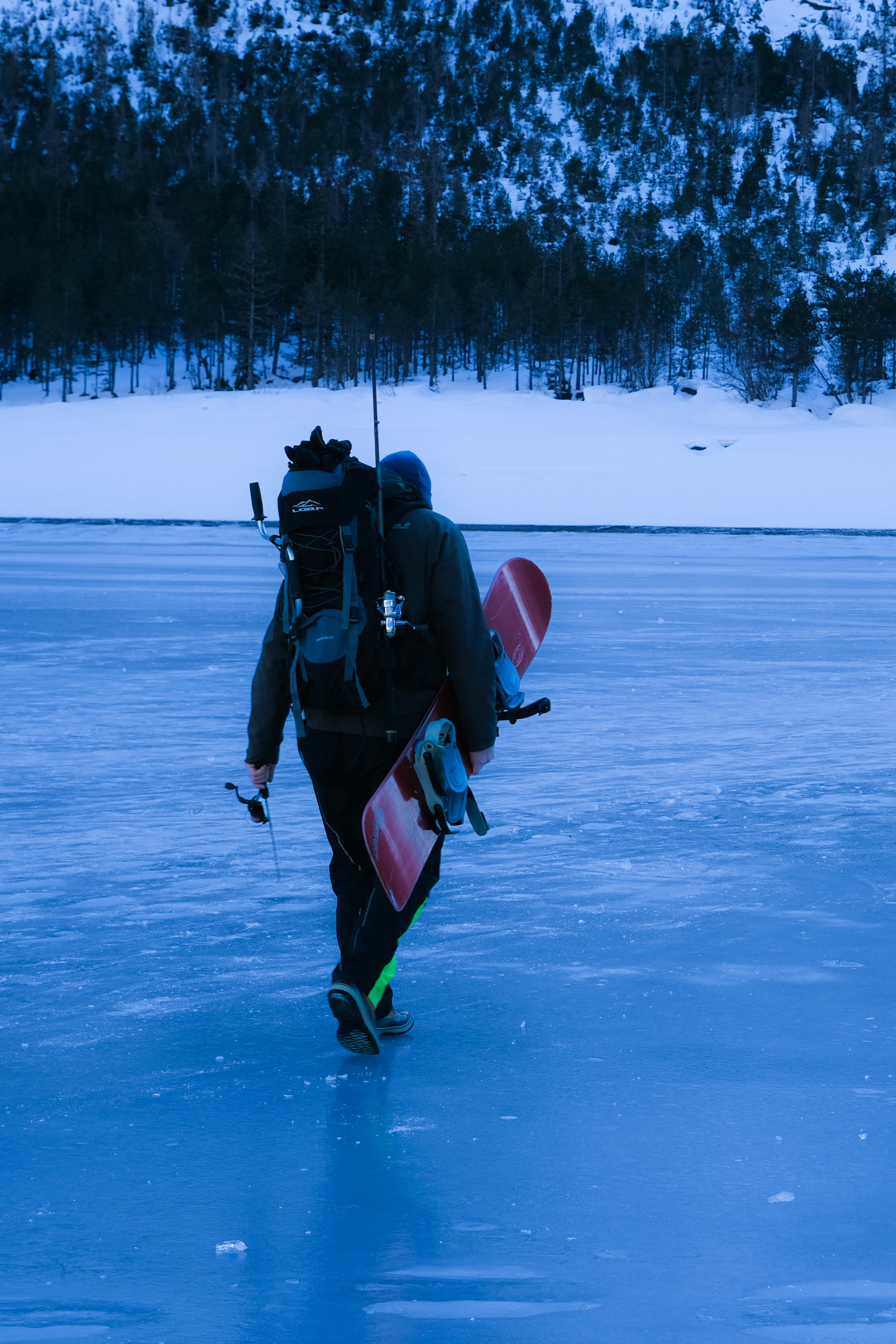 Blue Coquette Photos, Download The BEST Free Blue Coquette Stock Photos ...