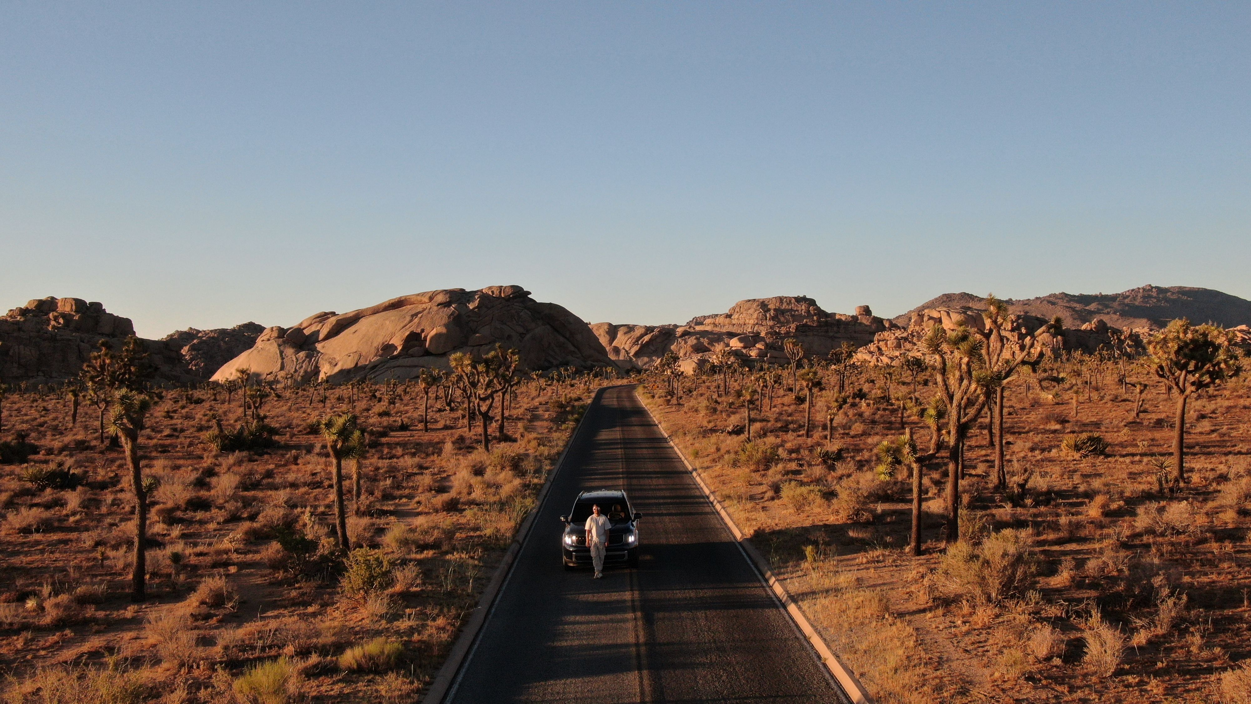 Scenic Drive Through Joshua Tree National Park · Free Stock Photo