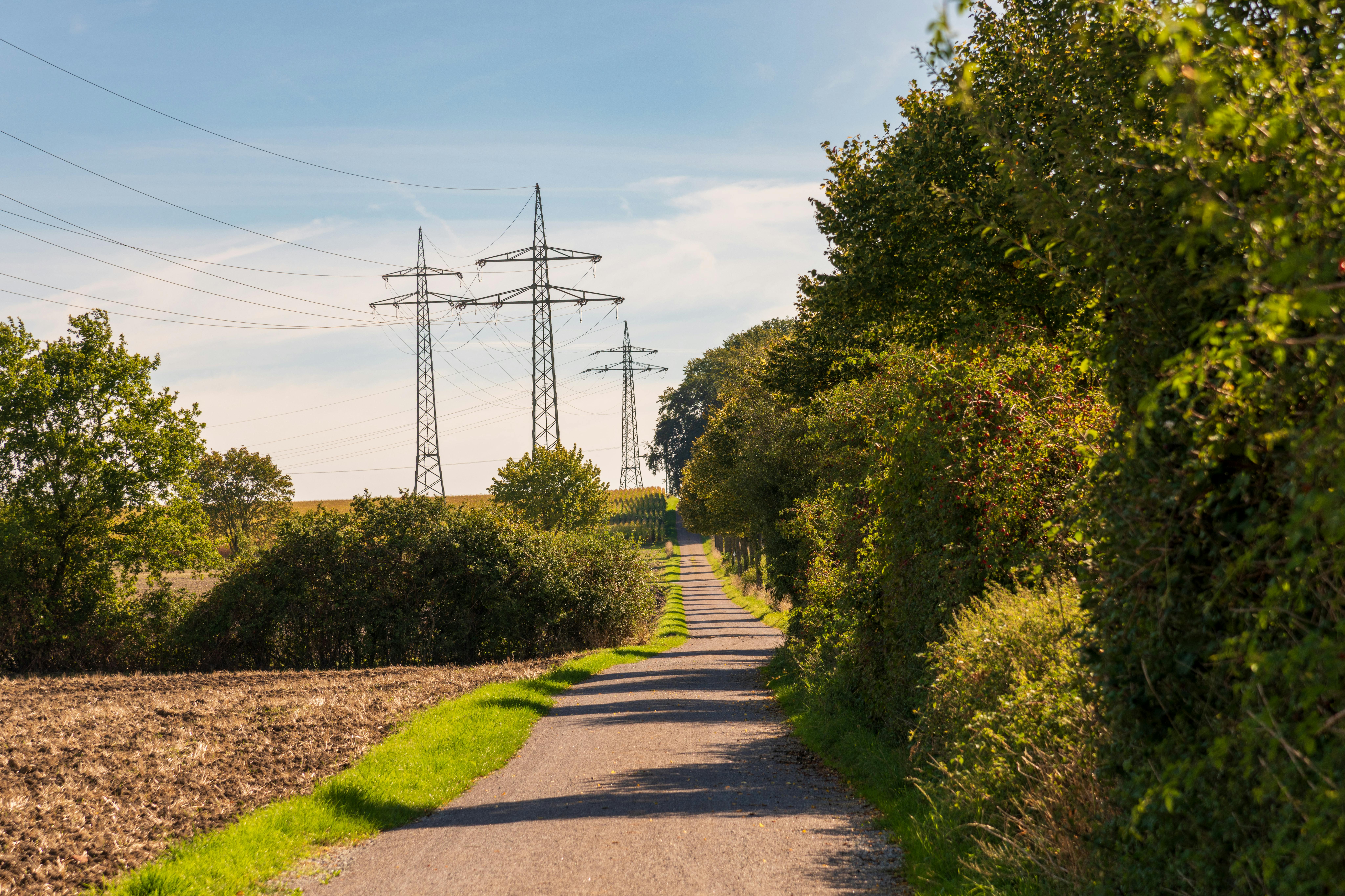 Utility Poles Photos, Download The BEST Free Utility Poles Stock Photos ...