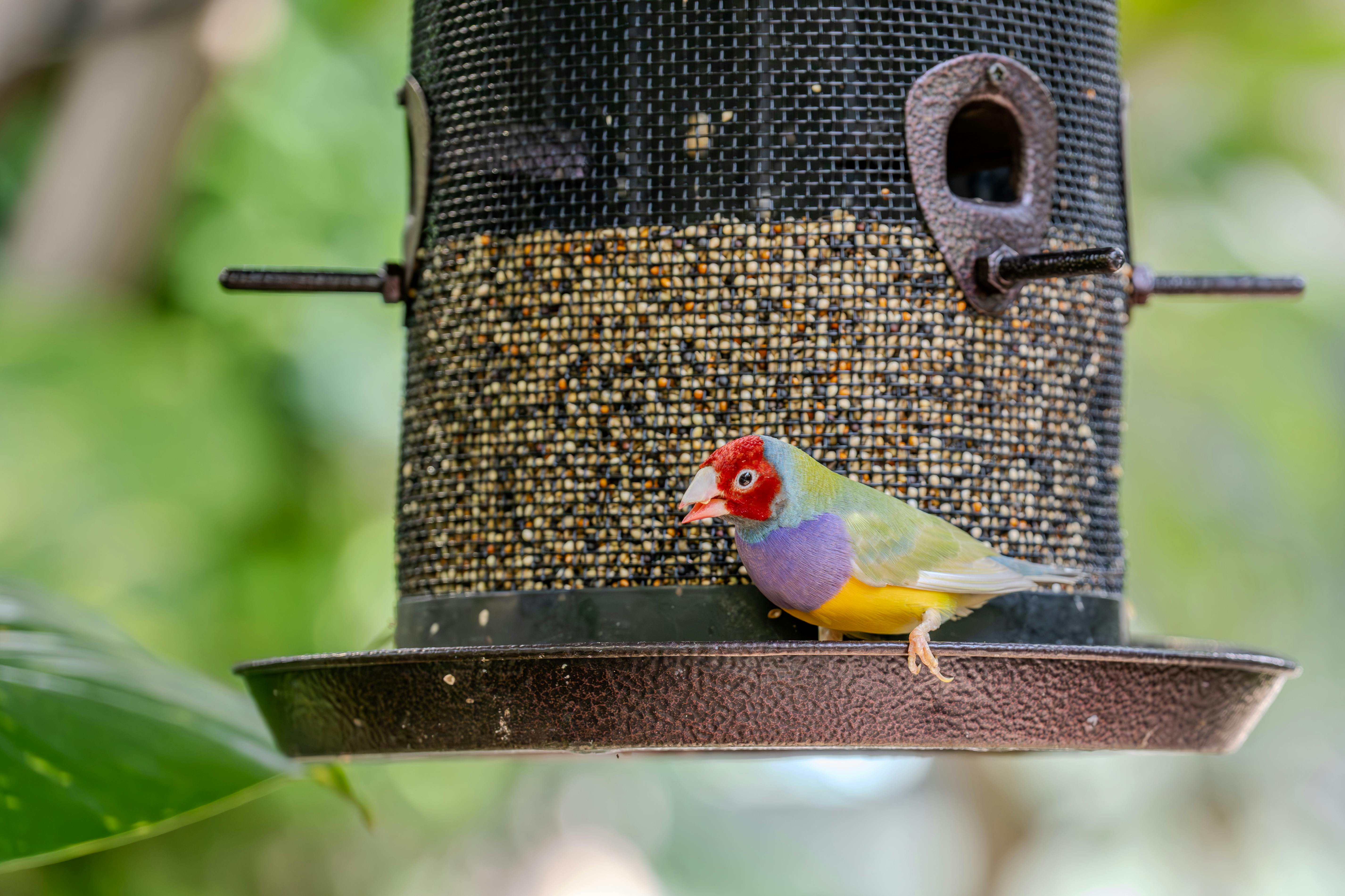 Scroller+Girls+Small Photos, Download The BEST Free Scroller+Girls ...