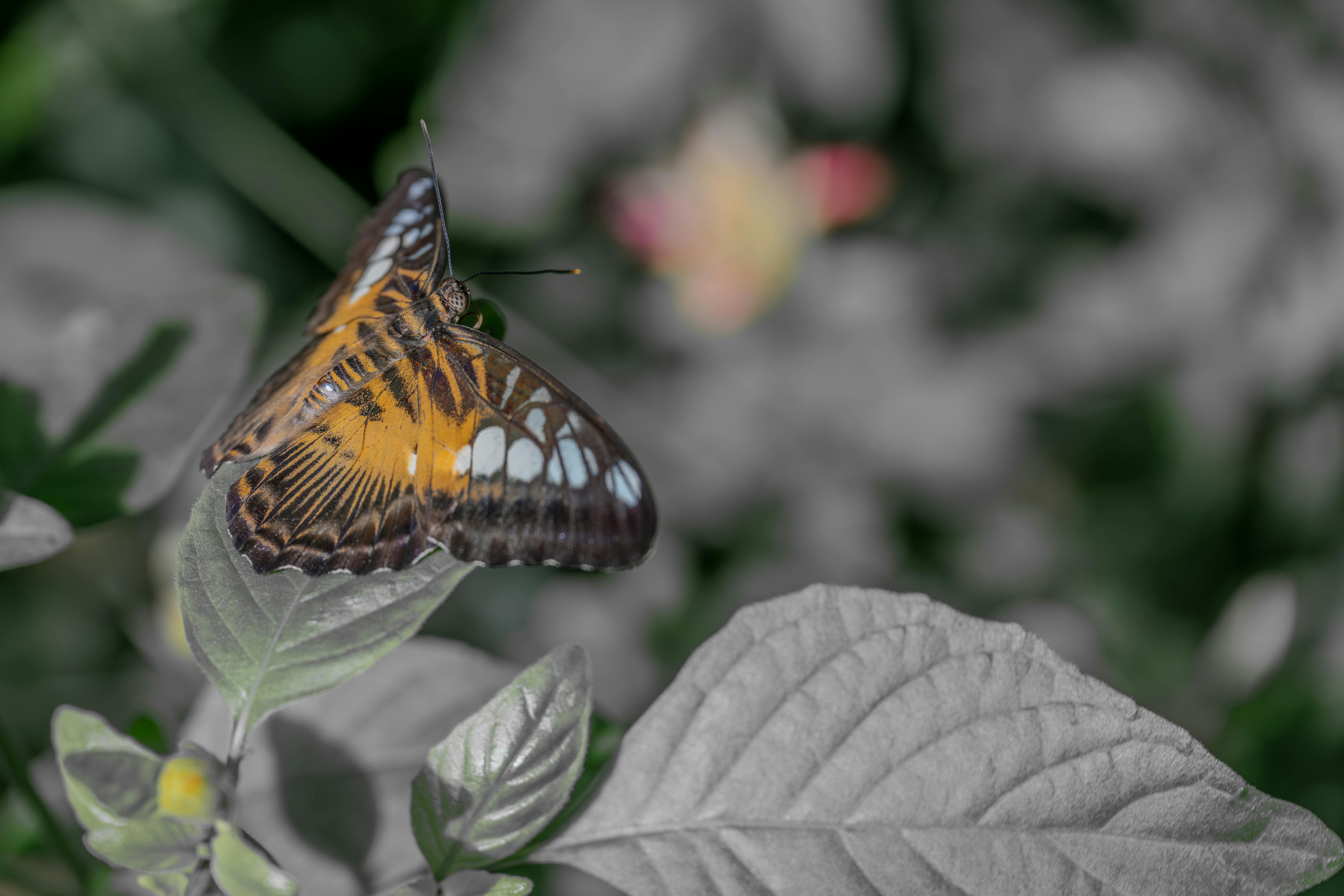 Environmental Awareness Photos, Download The BEST Free Environmental ...