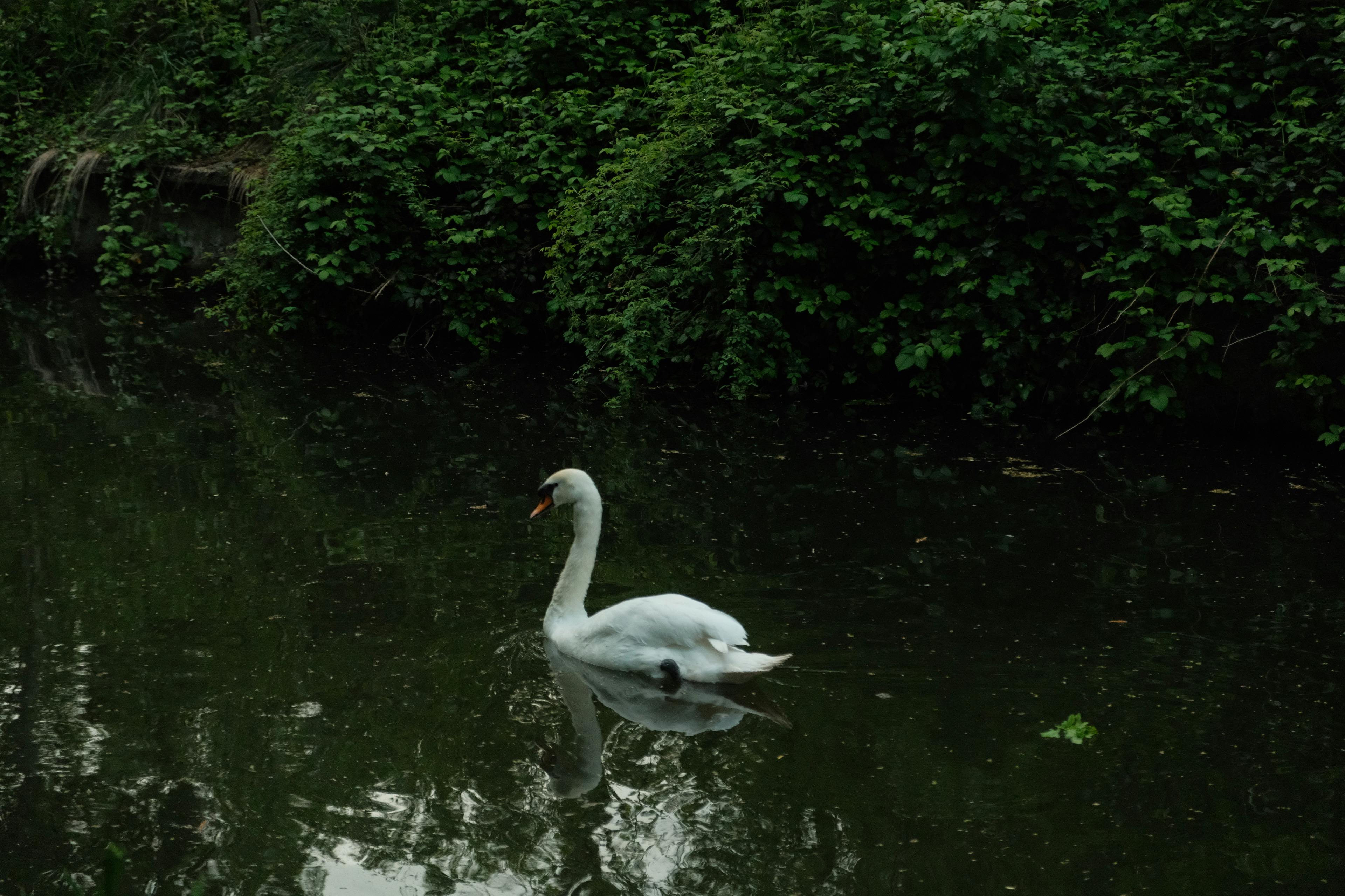 Lady+Barbara+Leg+World+Gallery Photos, Download The BEST Free Lady ...