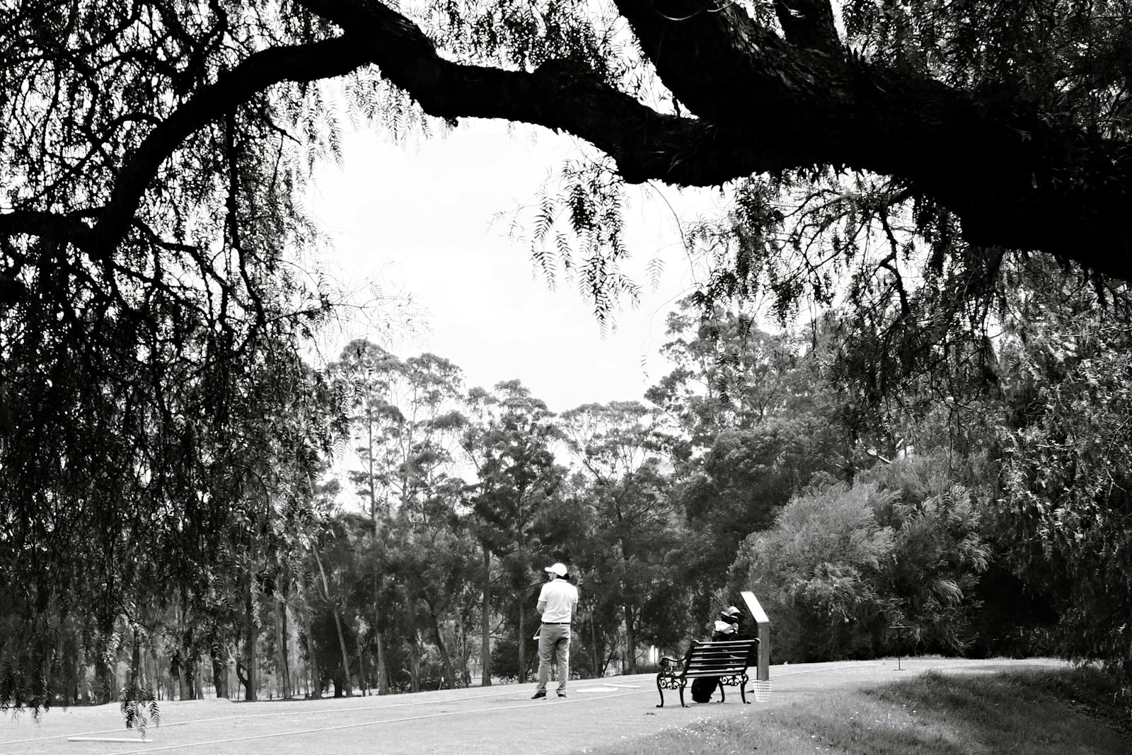 Human Standing Photos, Download The BEST Free Human Standing Stock ...