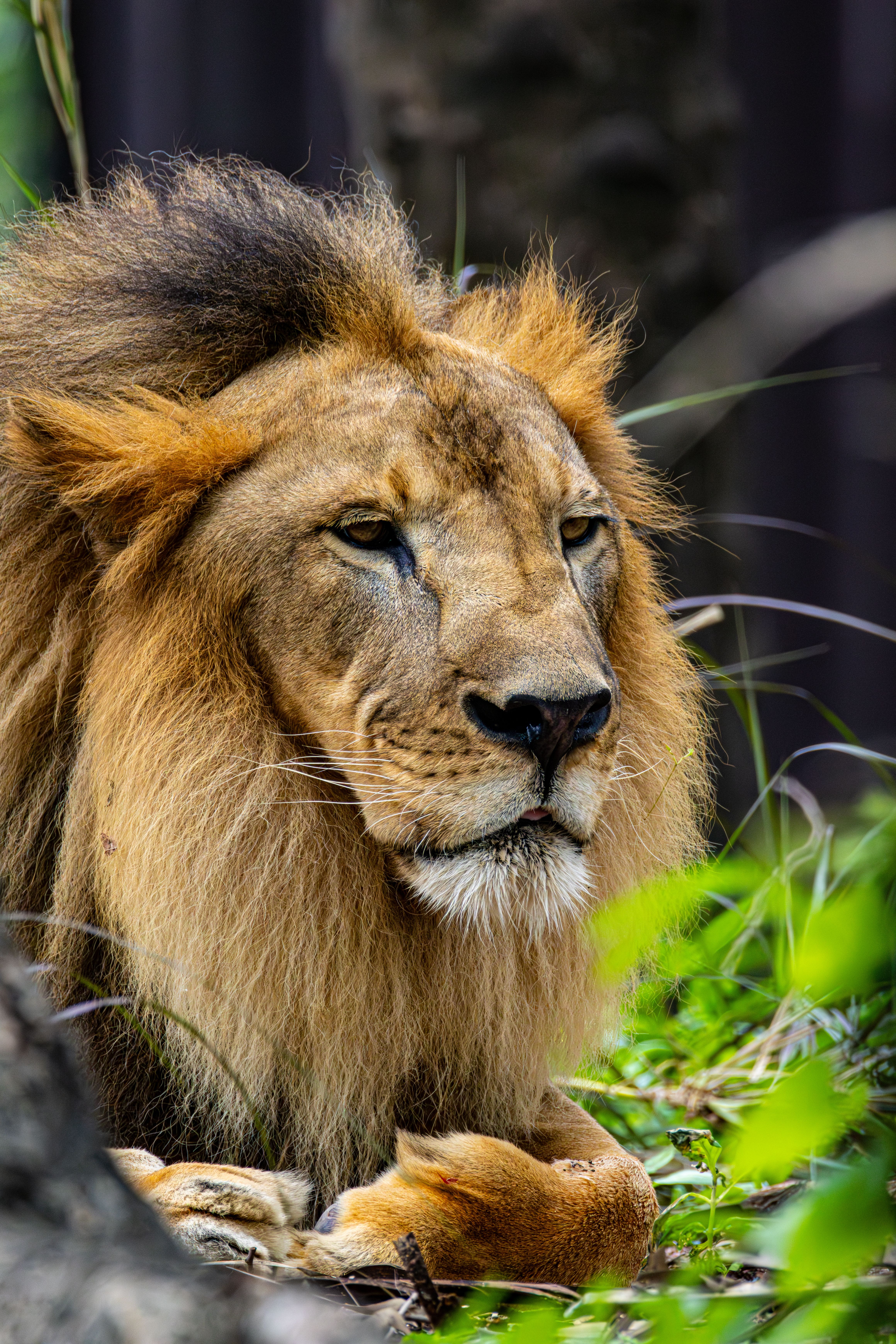 Hunting Photos, Download The BEST Free Hunting Stock Photos & HD Images