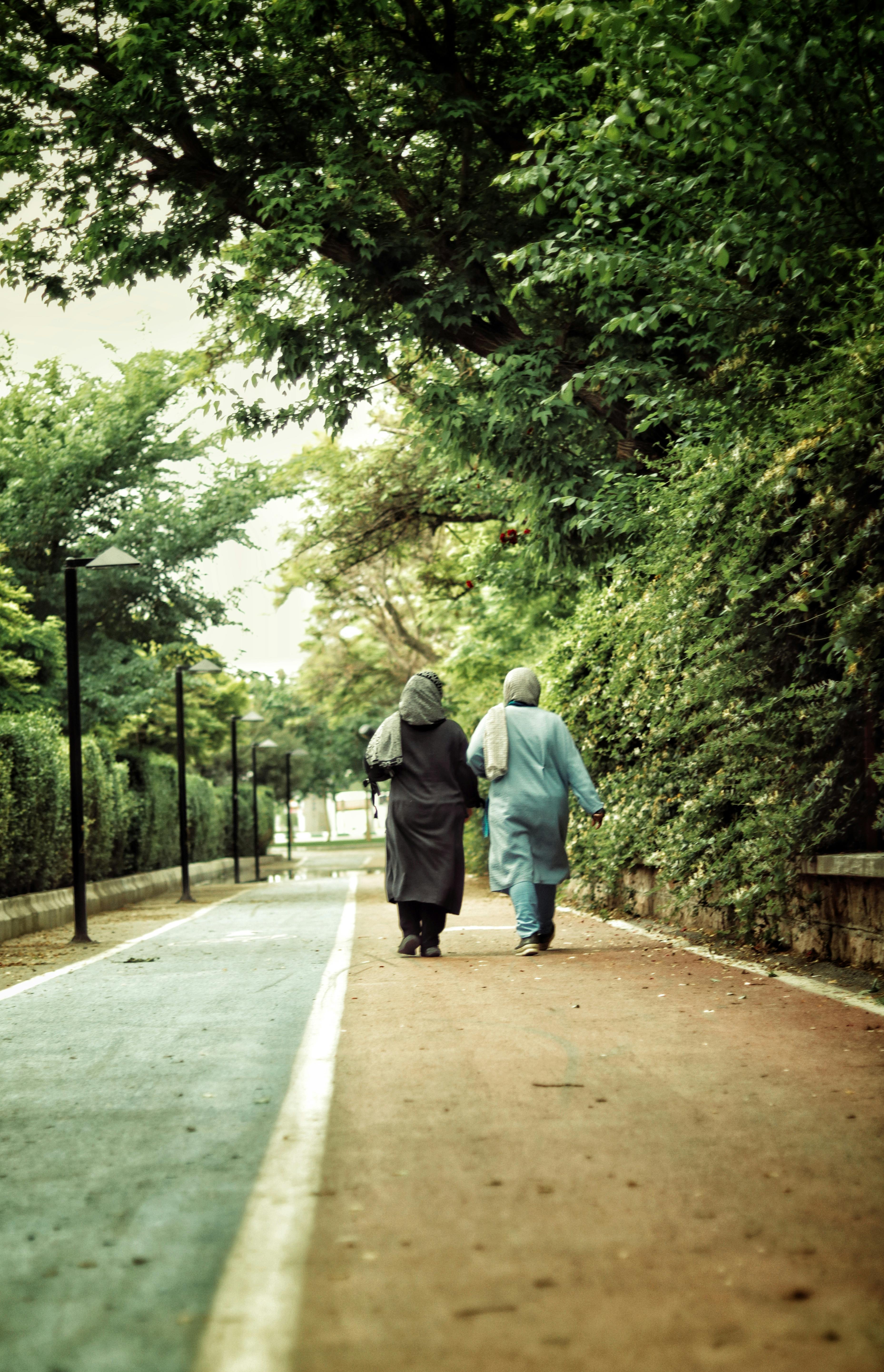 5mb Photo Photos, Download The BEST Free 5mb Photo Stock Photos & HD Images