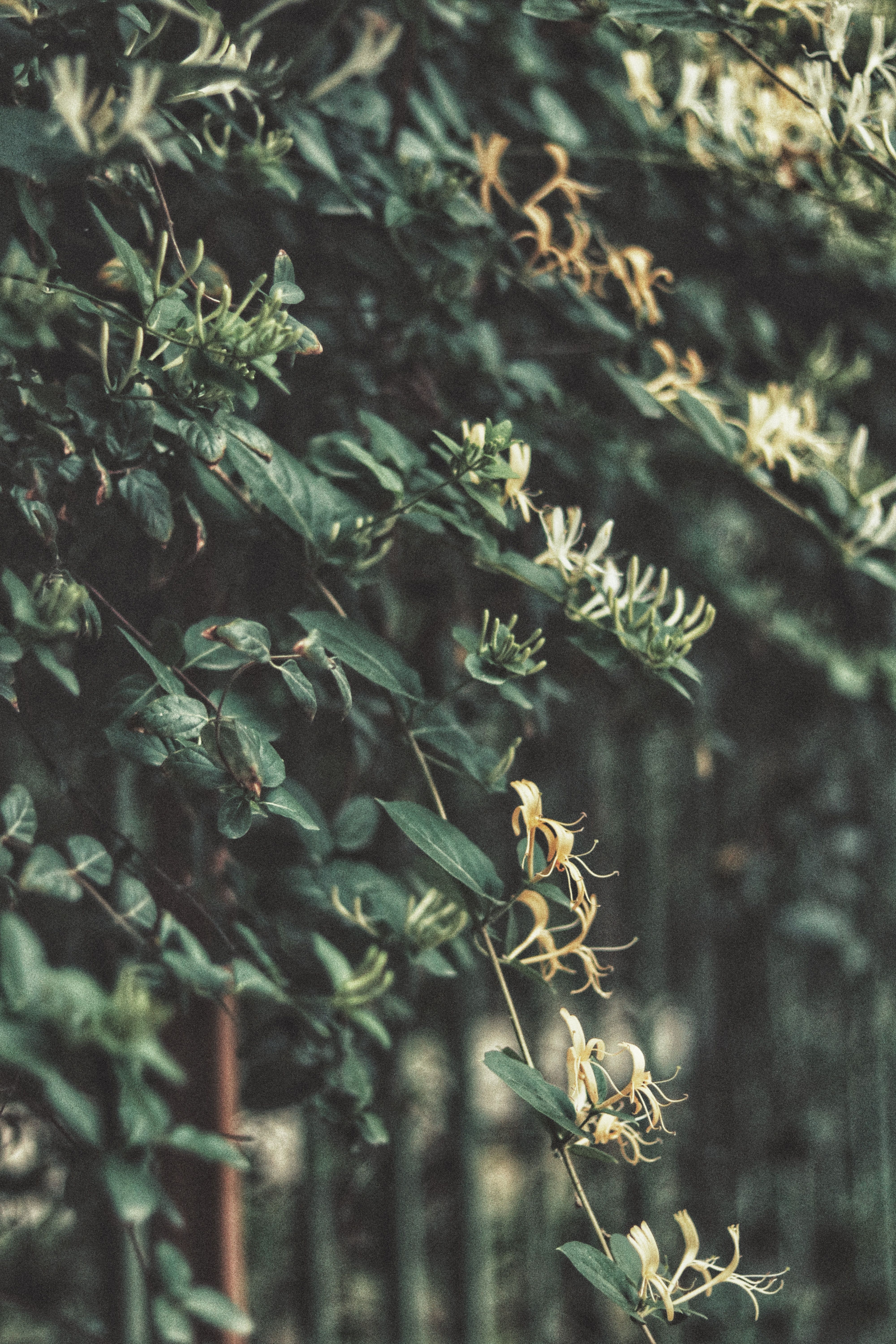 Photo Katun Photos, Download The BEST Free Photo Katun Stock Photos ...