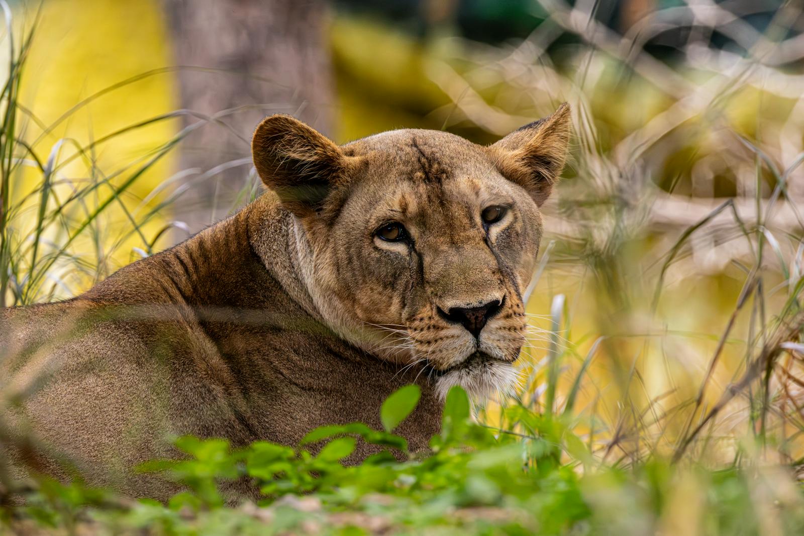 Troll Face Photos, Download The BEST Free Troll Face Stock Photos & HD ...