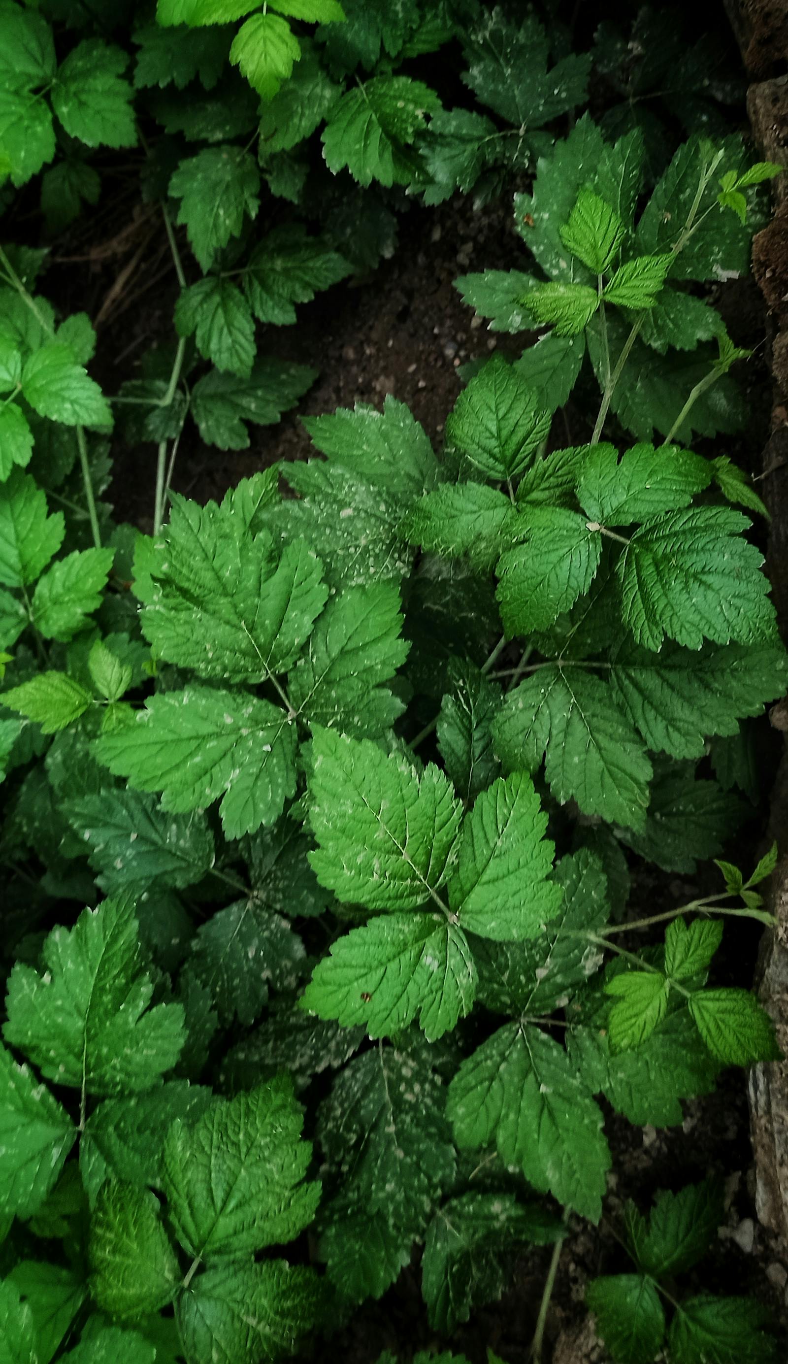 4k+Wallpaper+For+Pc+Zip+File+Download Photos, Download The BEST Free 4k ...