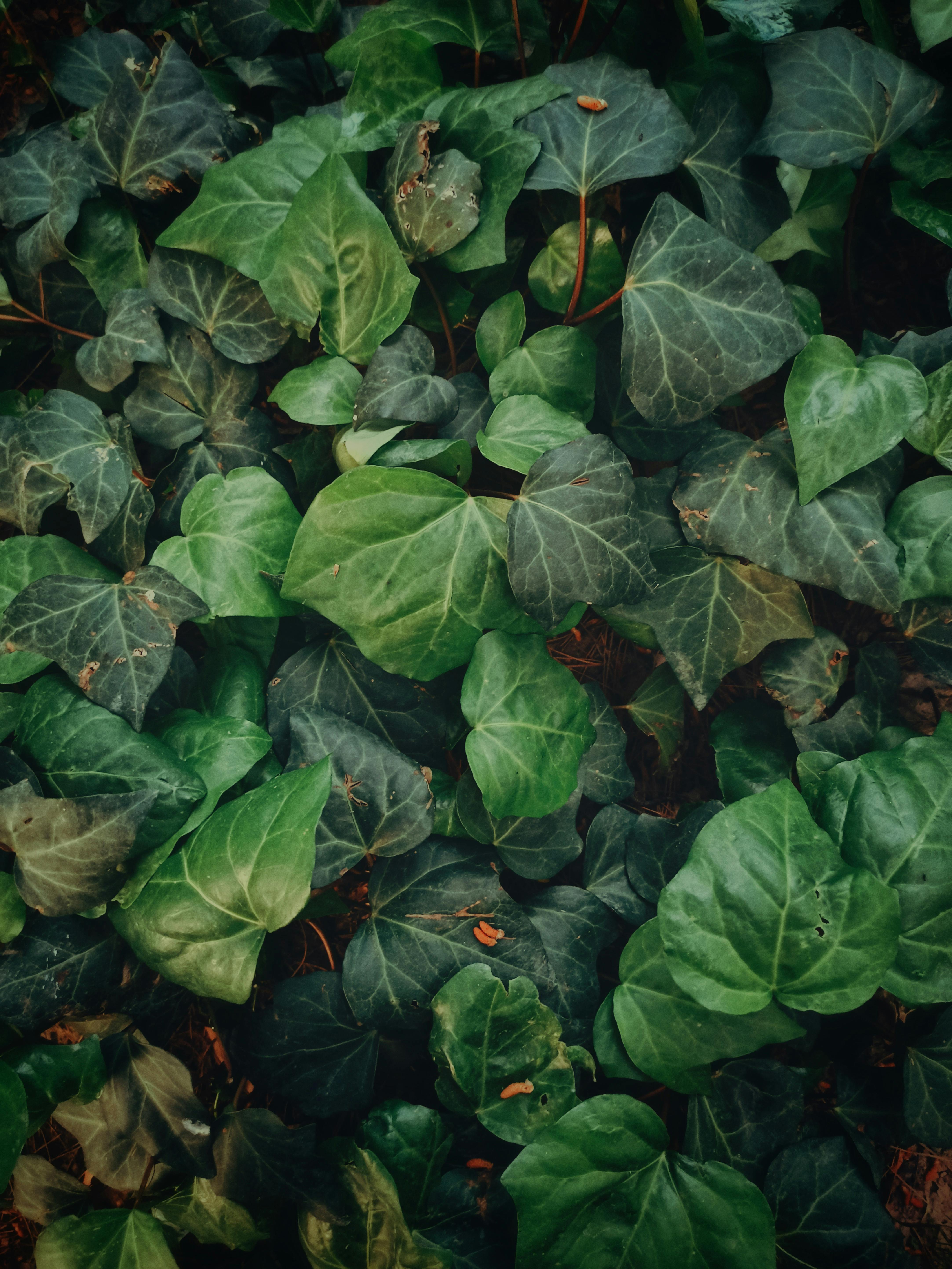 4k+Wallpaper+For+Pc+Zip+File+Download Photos, Download The BEST Free 4k ...