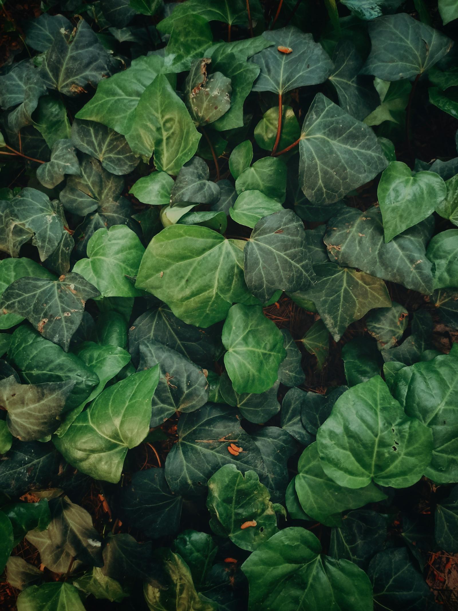 5mb Photo Photos, Download The BEST Free 5mb Photo Stock Photos & HD Images