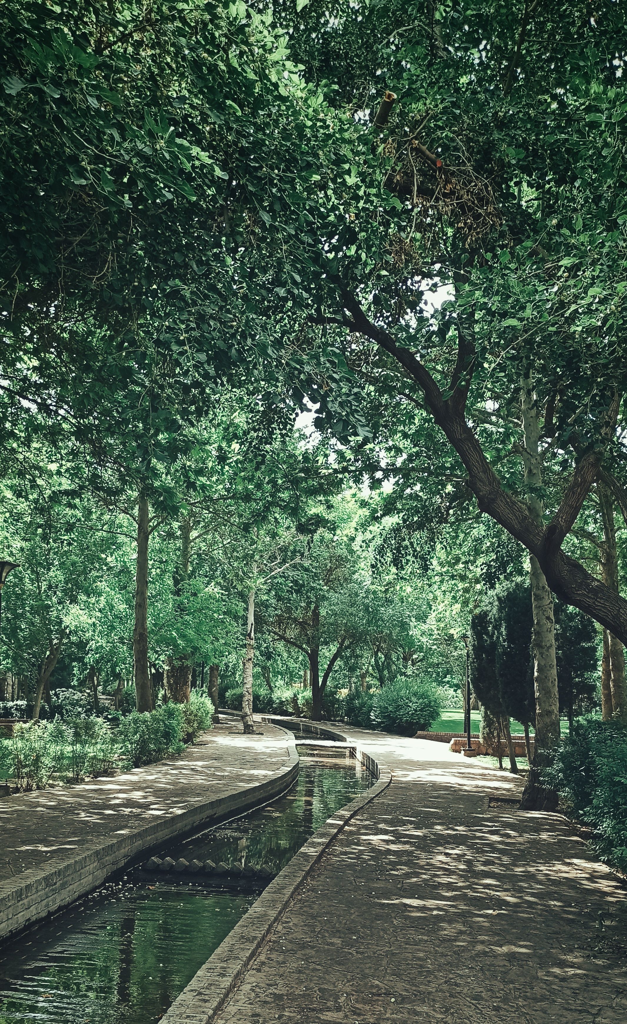 Green Grass Near Trees · Free Stock Photo