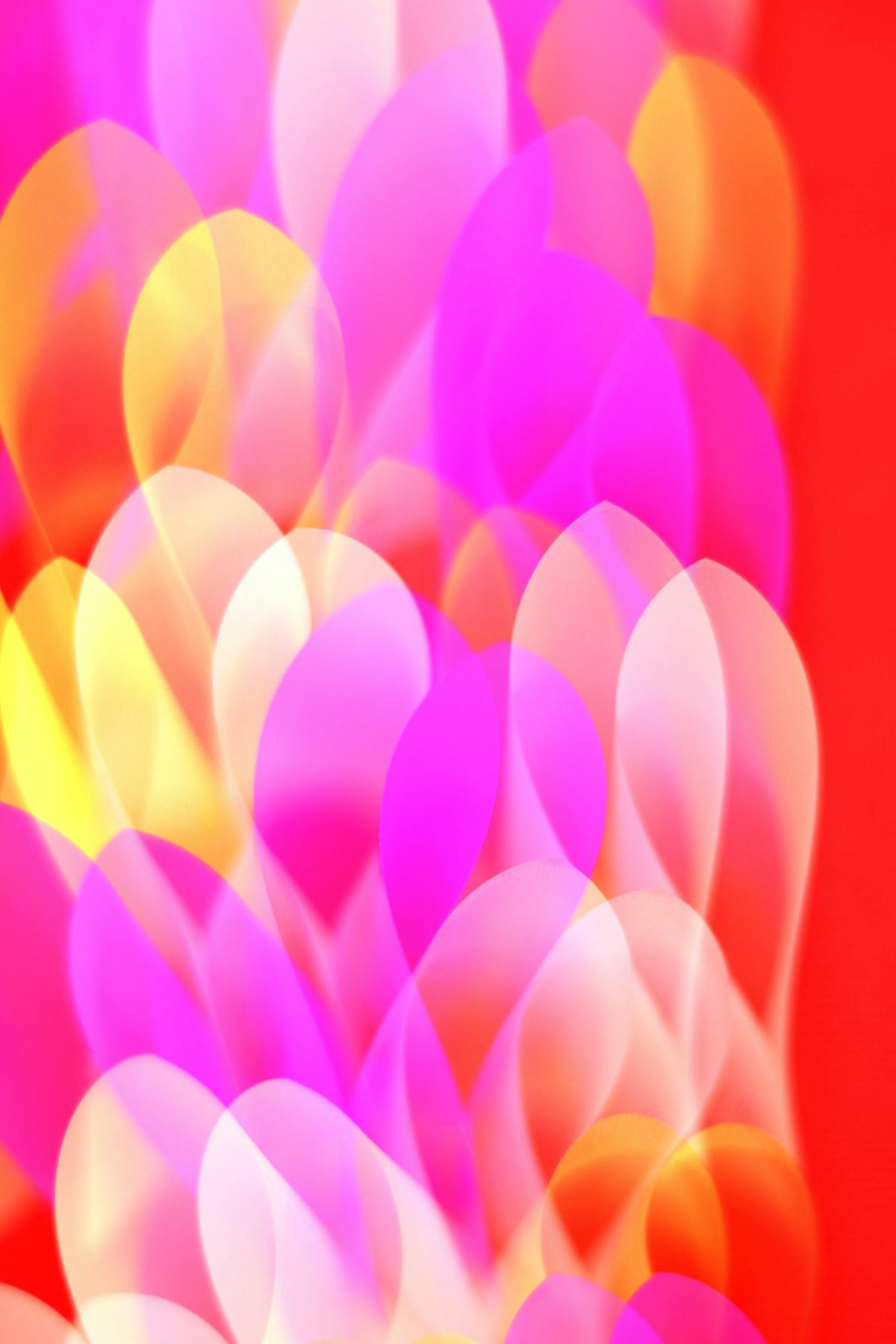 Red Background Design Photos, Download The BEST Free Red Background ...