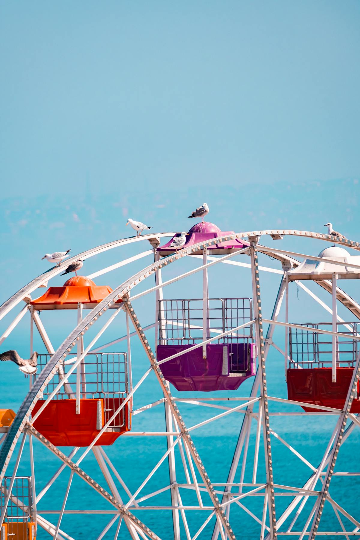 50 000+ beste Turbilder · 100 % gratis nedlasting · Pexels-arkivbilder