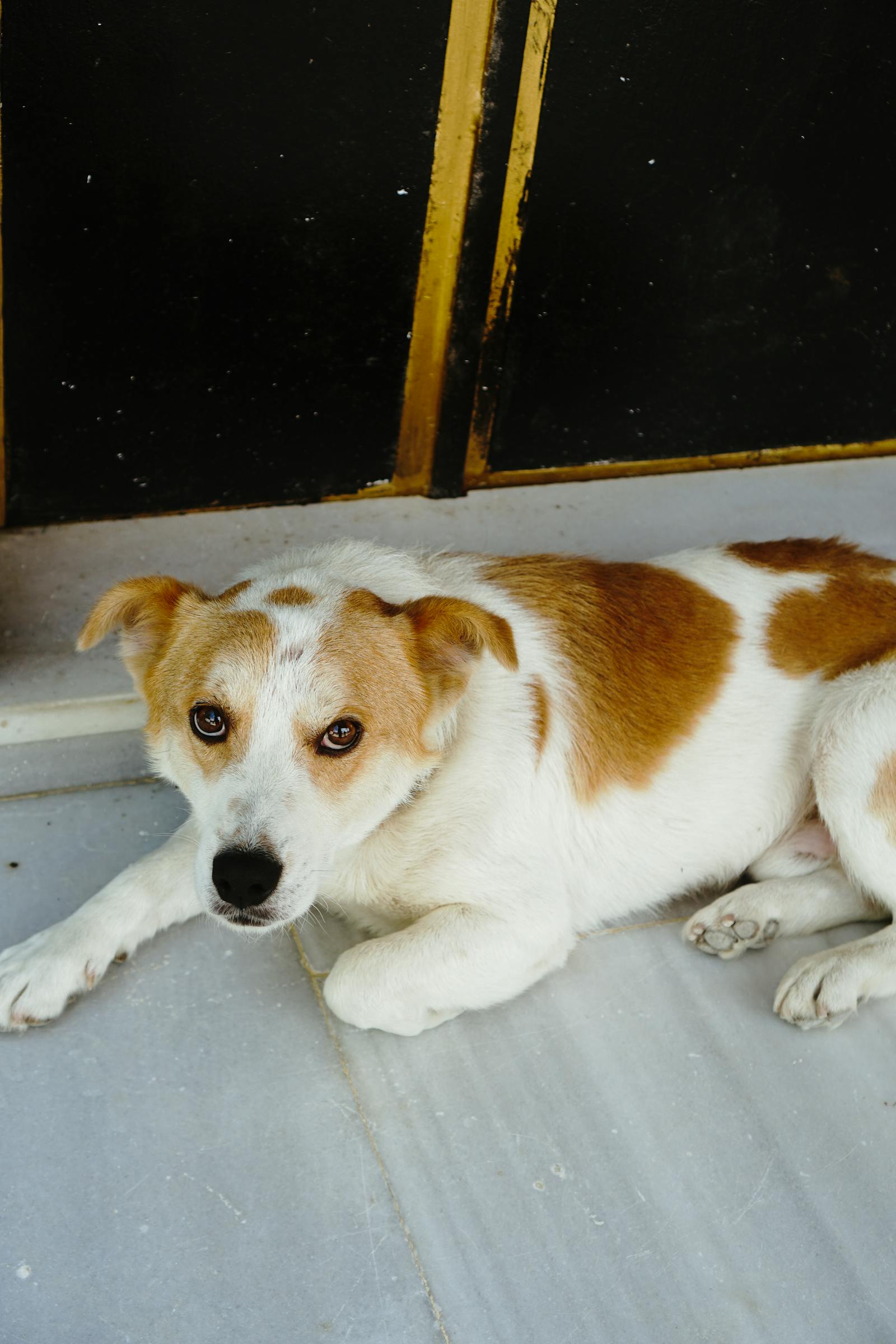 Legs+Kat+Timpf Photos, Download The BEST Free Legs+Kat+Timpf Stock ...