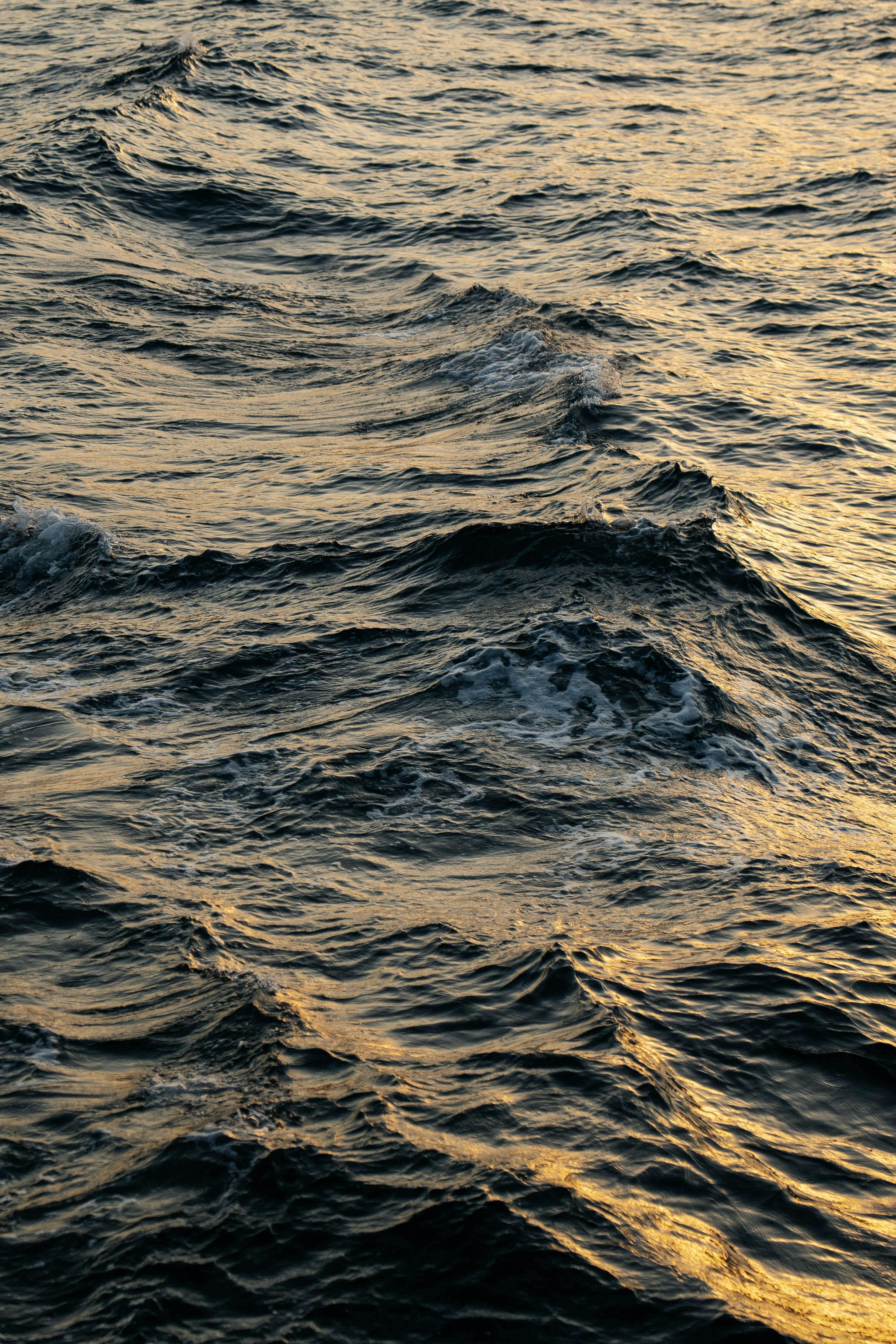 Cg+Ambient+Texture Photos, Download The BEST Free Cg+Ambient+Texture ...