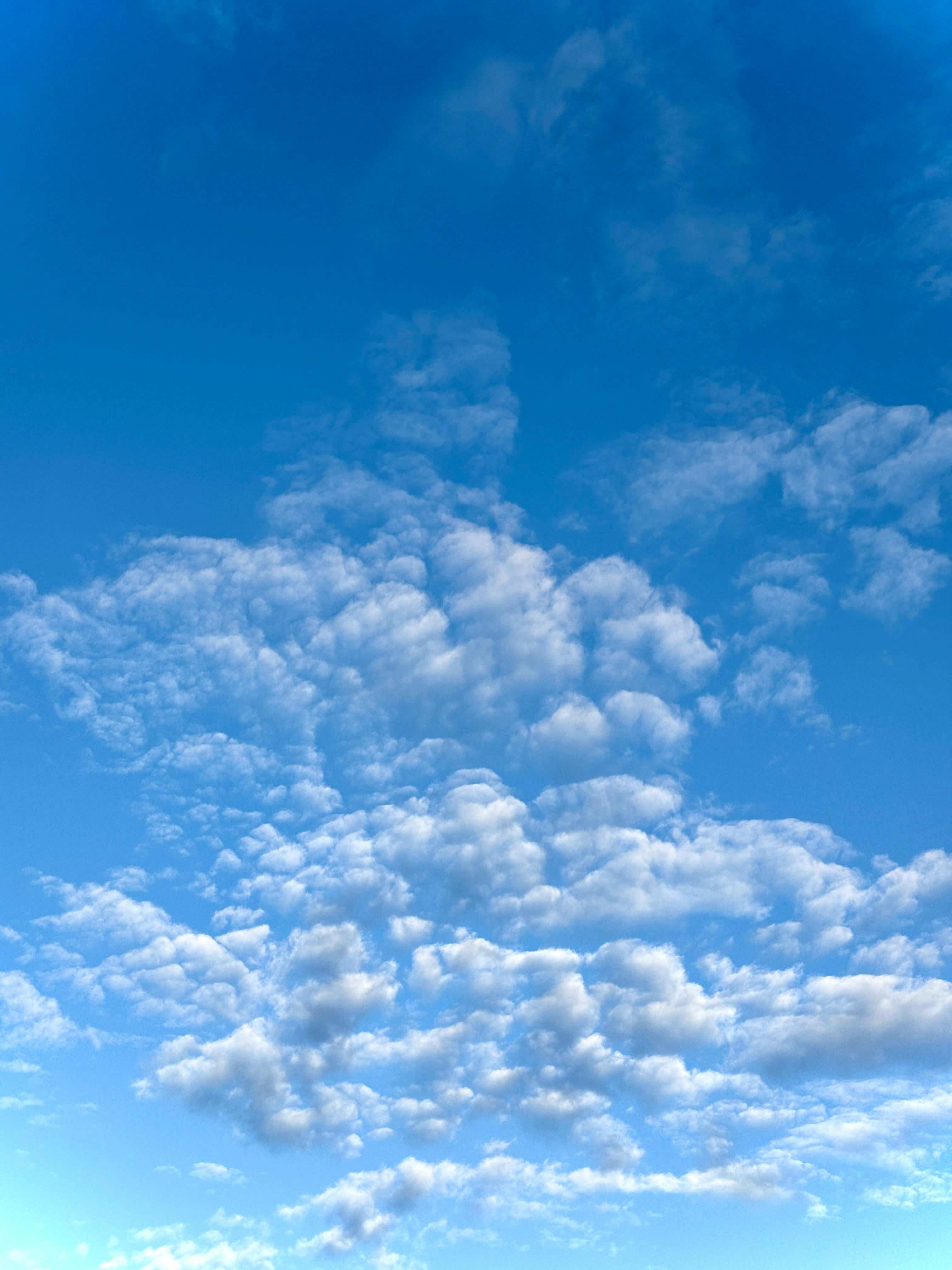 Pdf Background Photos, Download The BEST Free Pdf Background Stock ...