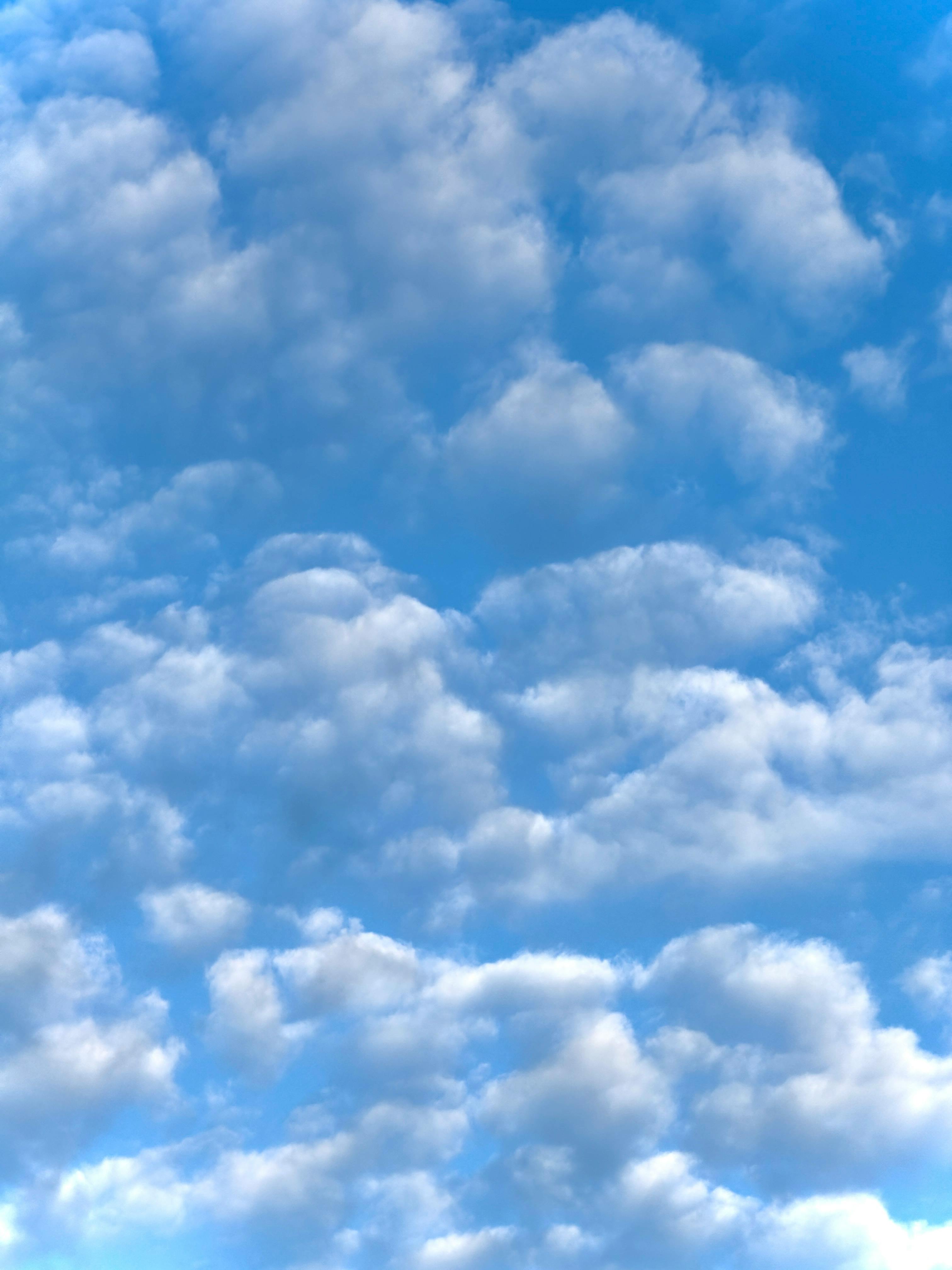 Aesthetic Pfp Photos, Download The BEST Free Aesthetic Pfp Stock Photos ...