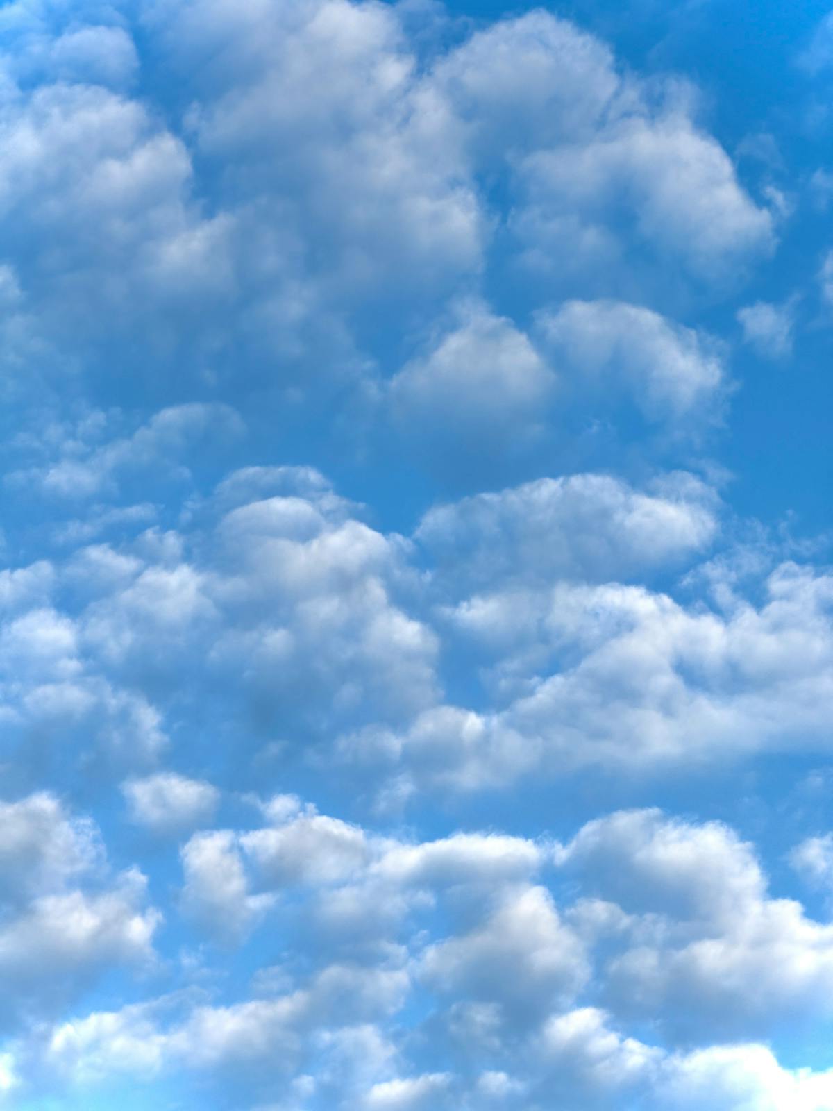 Fluffy Clouds Photos, Download The BEST Free Fluffy Clouds Stock Photos ...