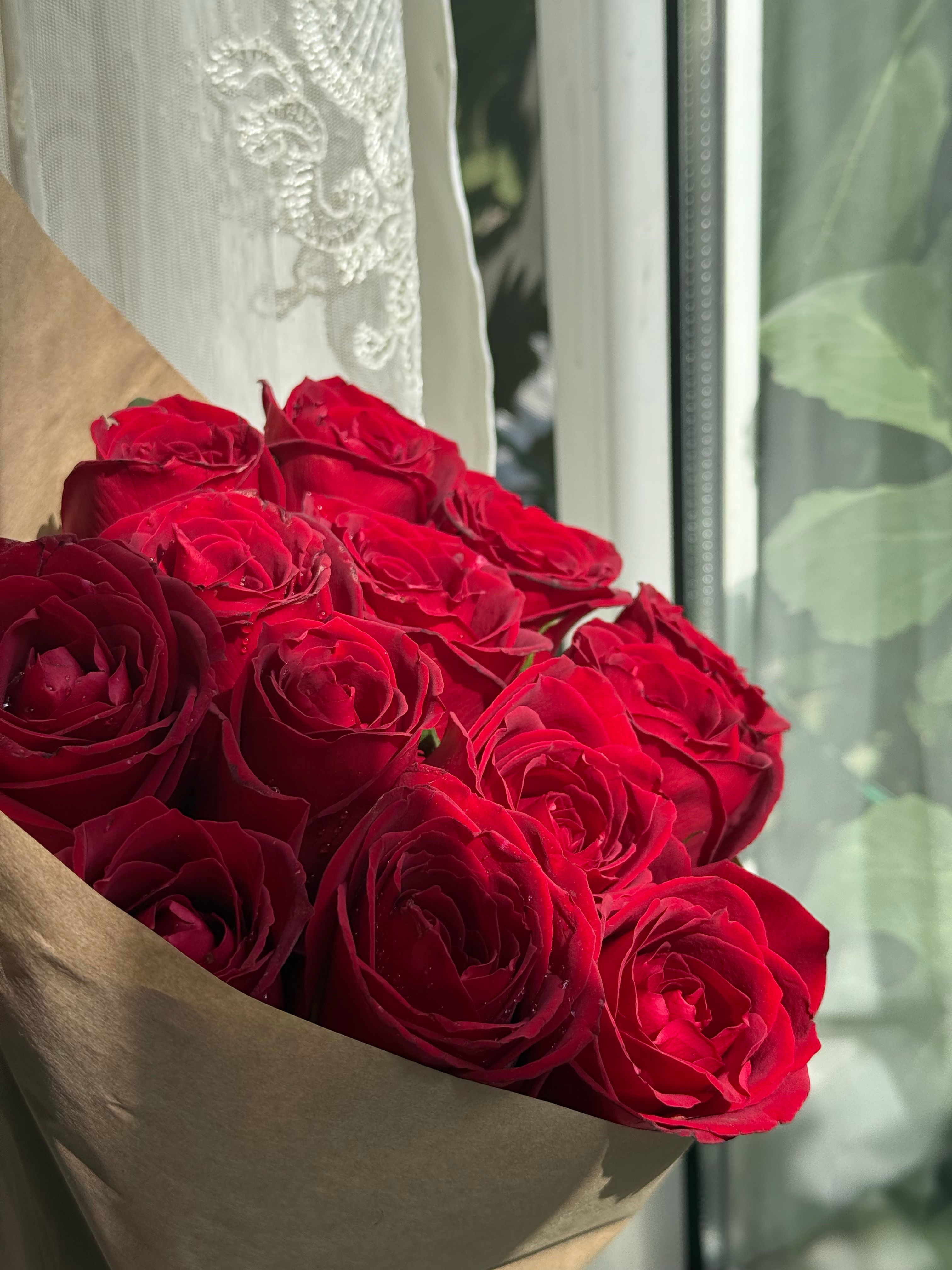 Beautiful Flowers Buke Photos, Download The BEST Free Beautiful Flowers ...