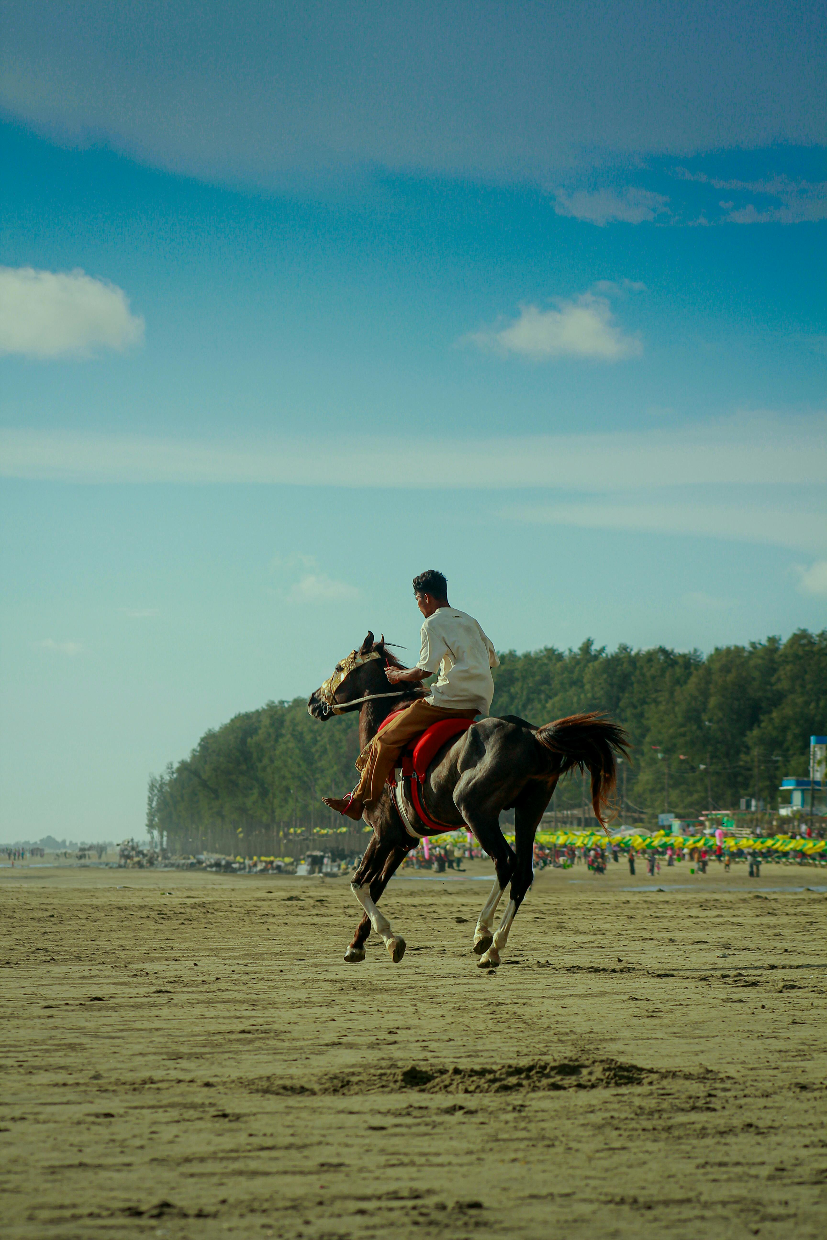 Wet+Camel+Toe+Bikini+Beach Photos, Download The BEST Free Wet+Camel+Toe+Bikini+Beach Stock ...