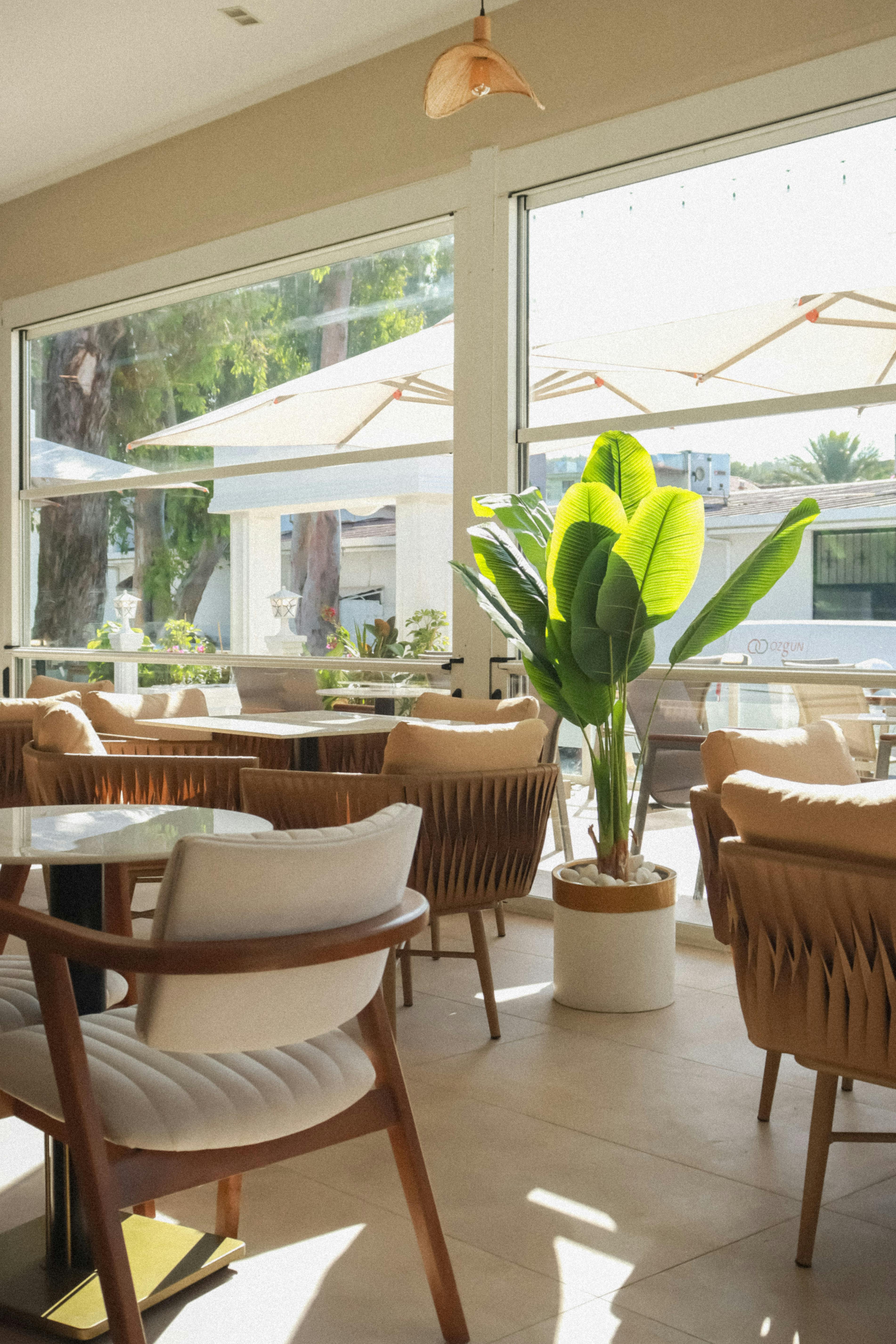 Aesthetic Pfp Photos, Download The BEST Free Aesthetic Pfp Stock Photos ...