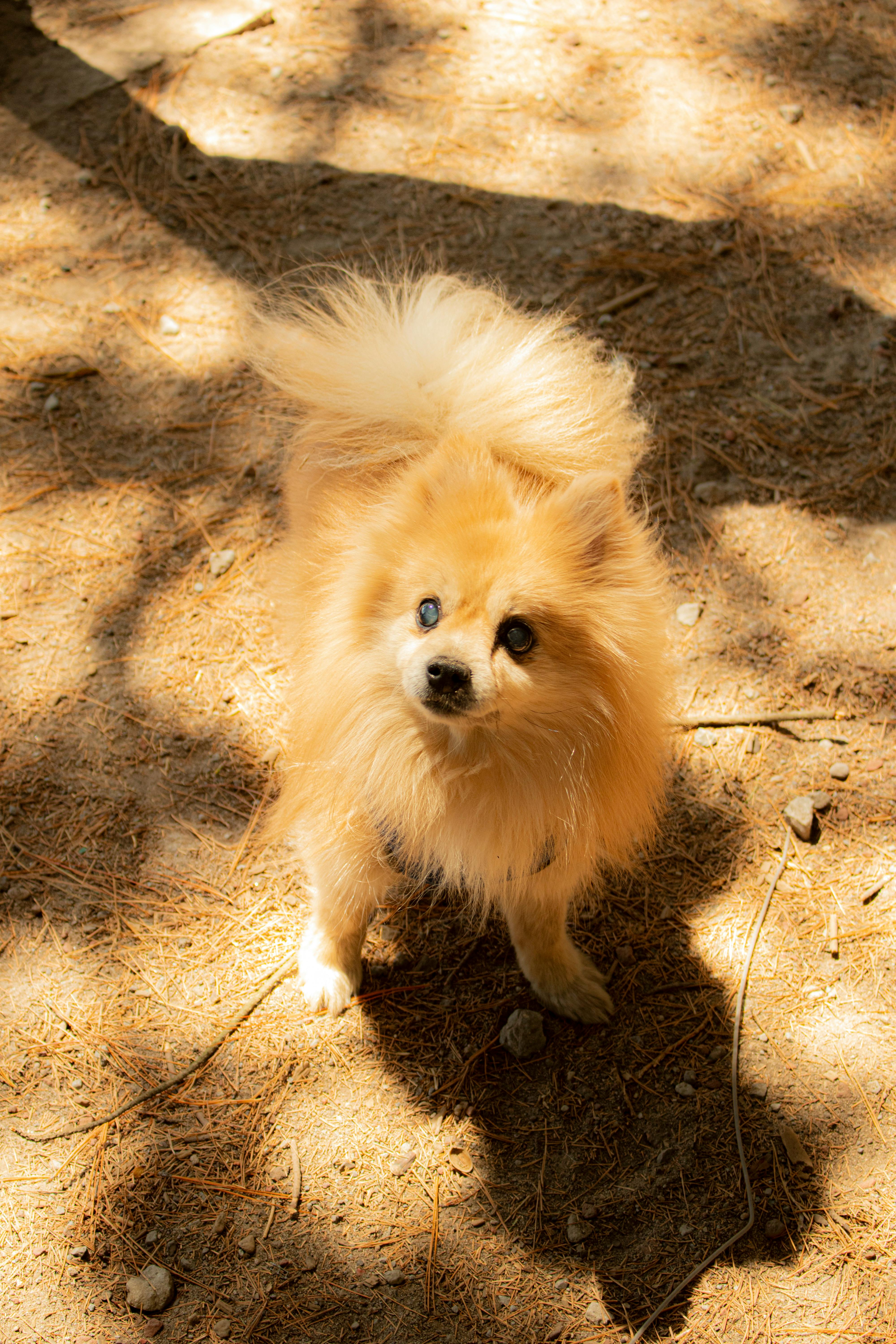 Cute+Nymph Photos, Download The BEST Free Cute+Nymph Stock Photos & HD ...