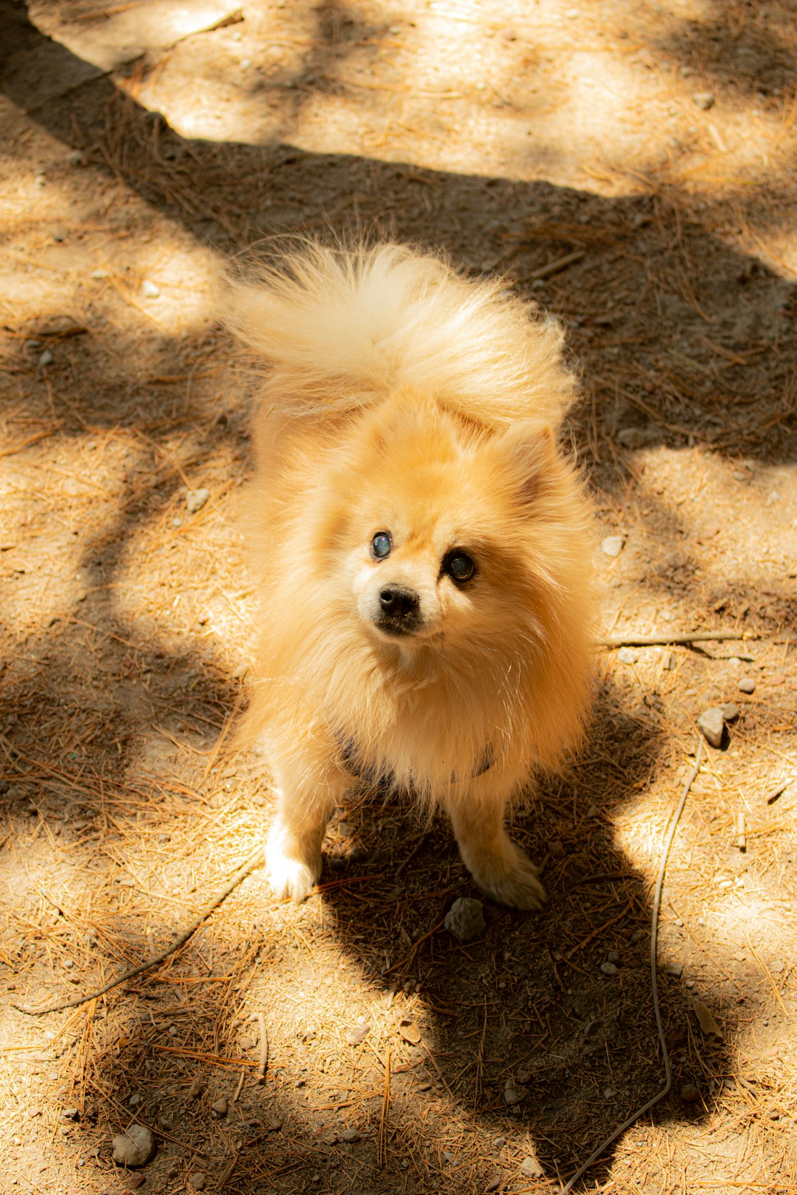 Wild Animals Slideshow Photos, Download The BEST Free Wild Animals ...