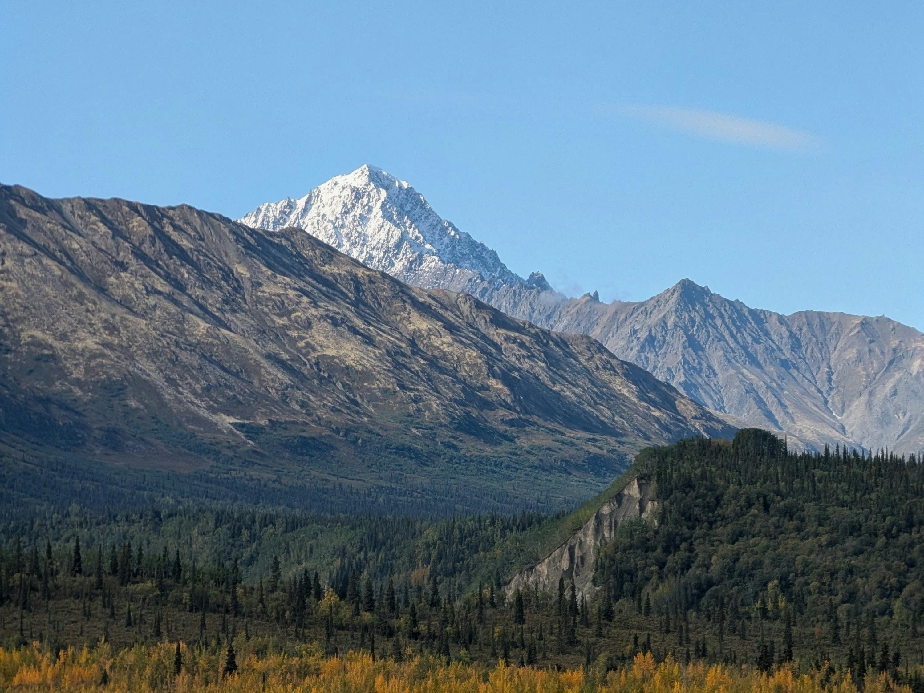 Naturalists+Photos+Family Photos, Download The BEST Free Naturalists ...