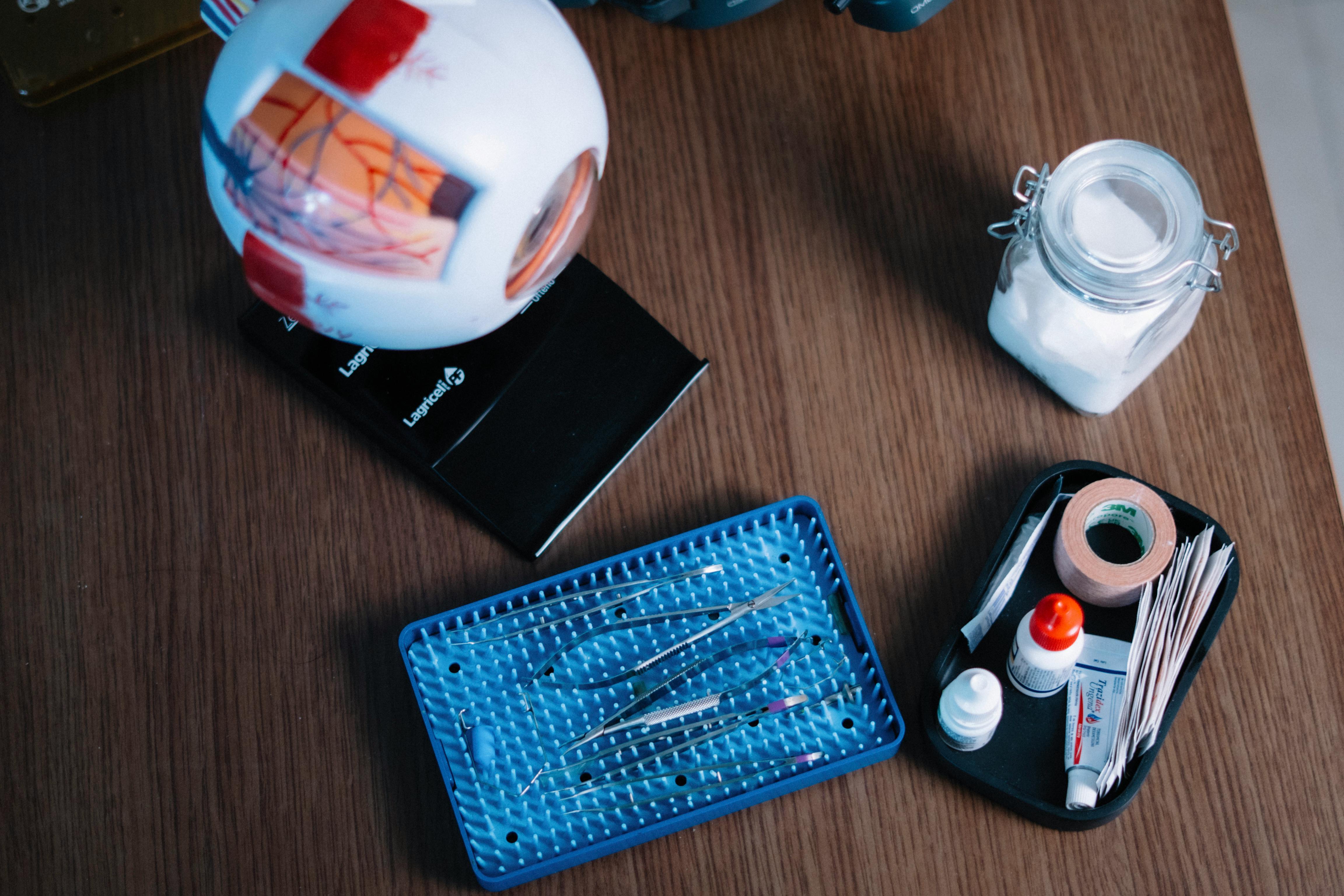 Ent Anatomy Photos, Download The BEST Free Ent Anatomy Stock Photos ...