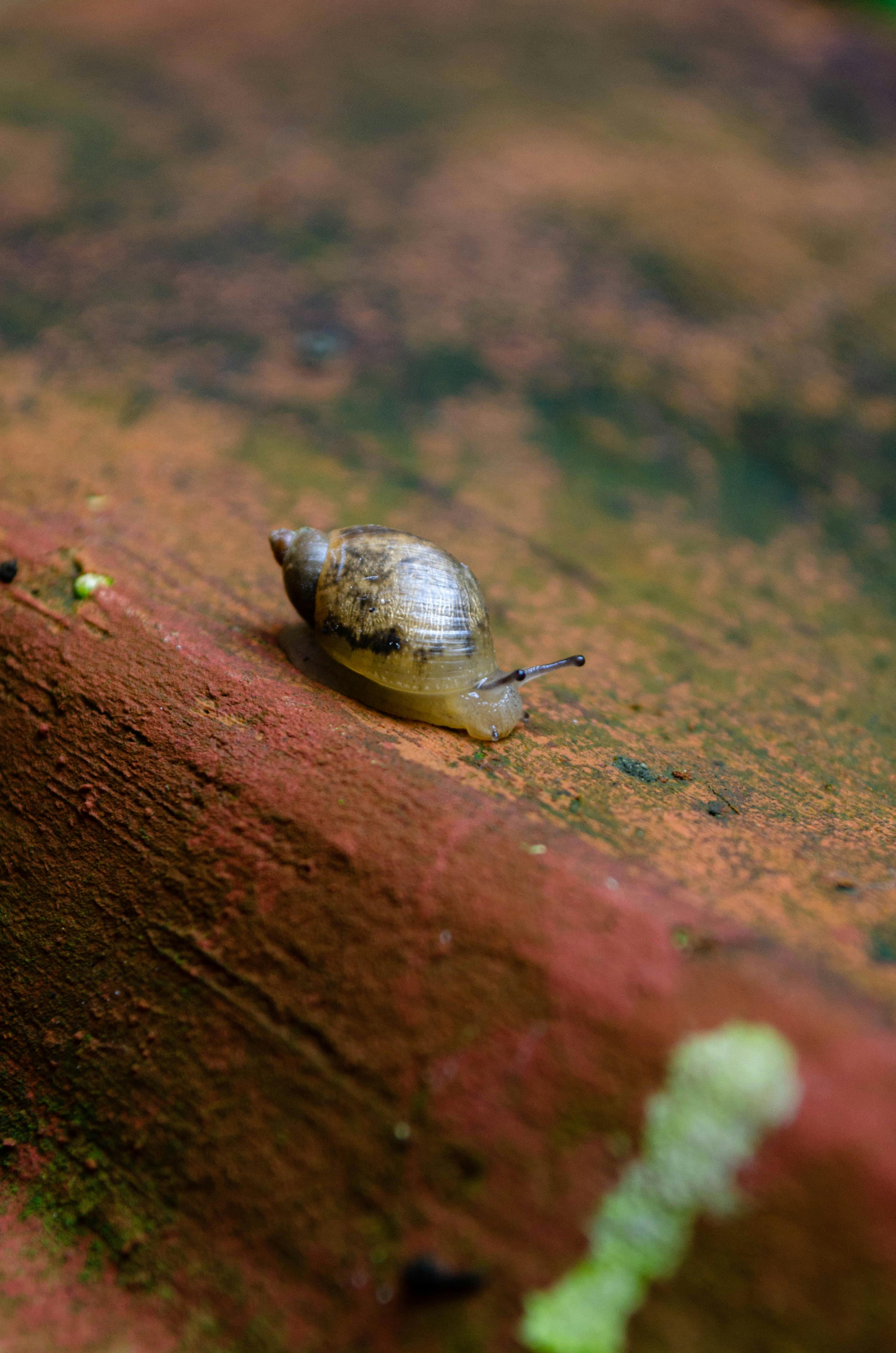 Scroller+Girls+Small Photos, Download The BEST Free Scroller+Girls ...