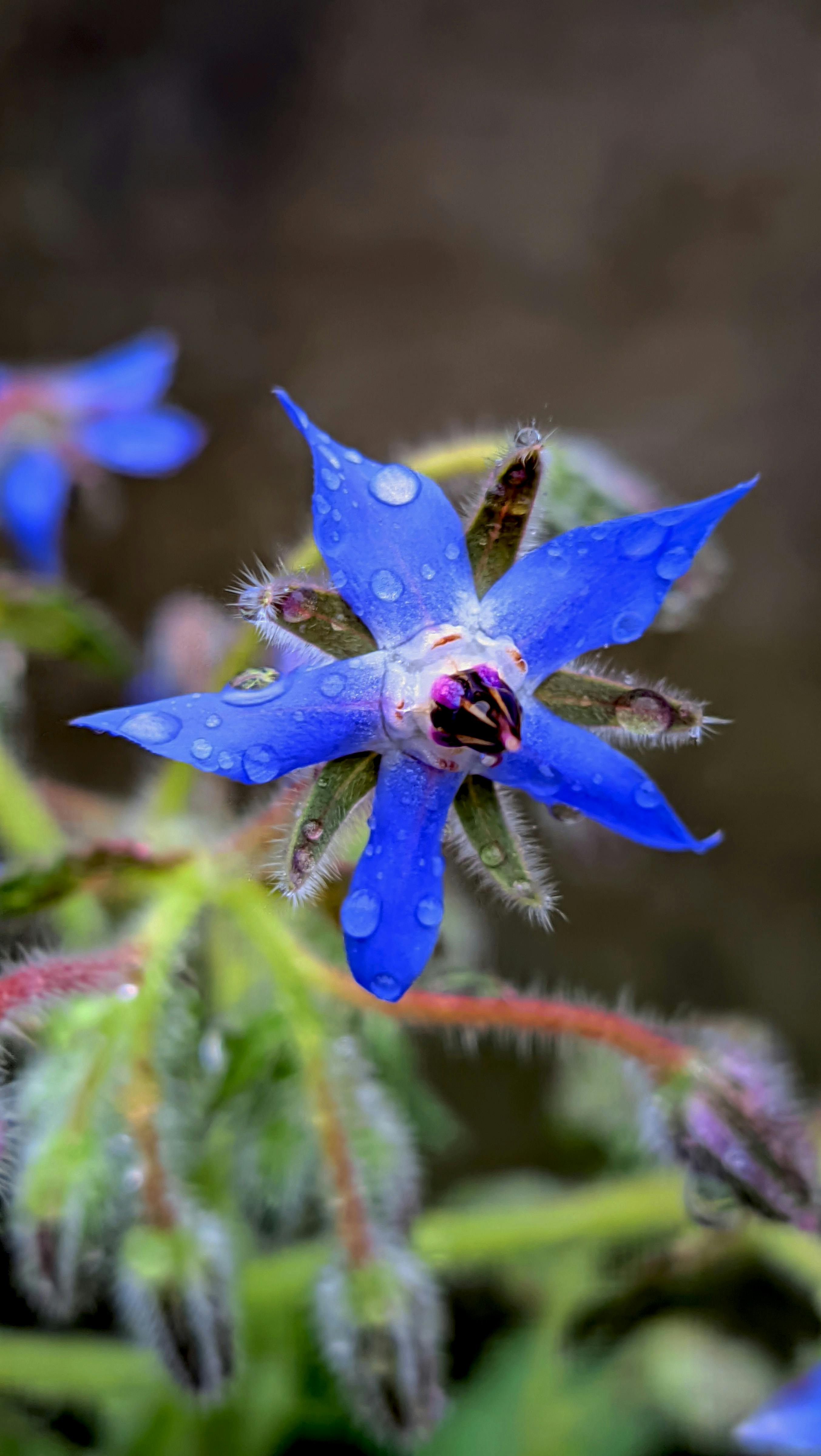 Panty+Drop+Gifs Photos, Download The BEST Free Panty+Drop+Gifs Stock ...