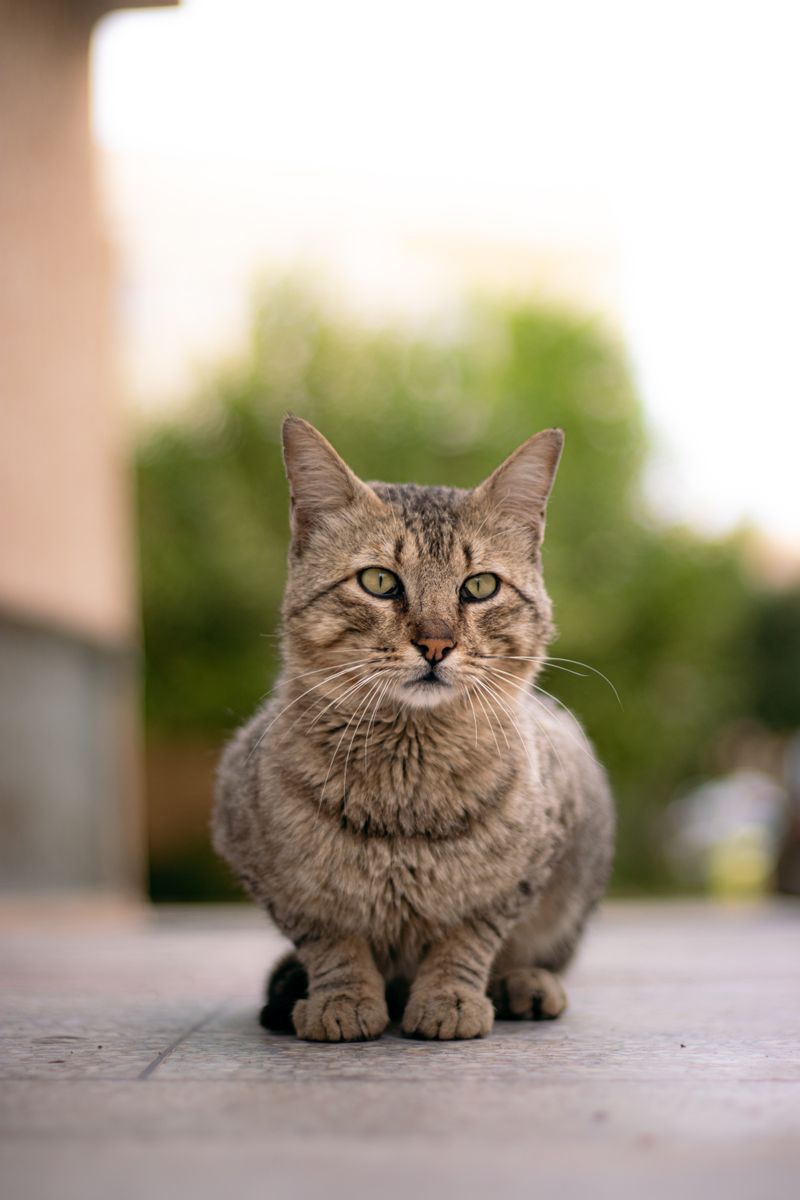 Cute Labubu Photos, Download The BEST Free Cute Labubu Stock Photos ...