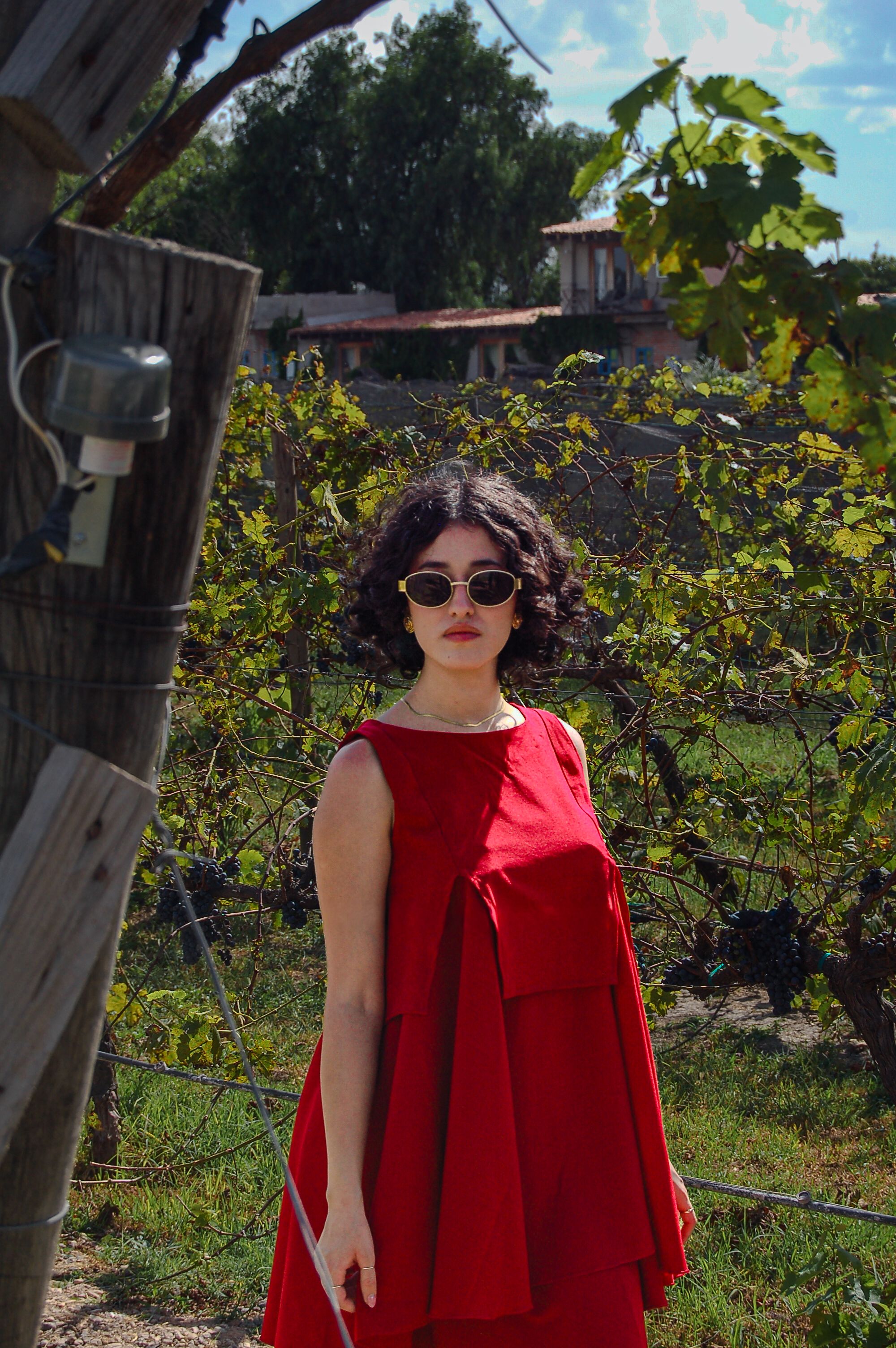 Fashionable Woman in Red Dress at Vineyard · Free Stock Photo
