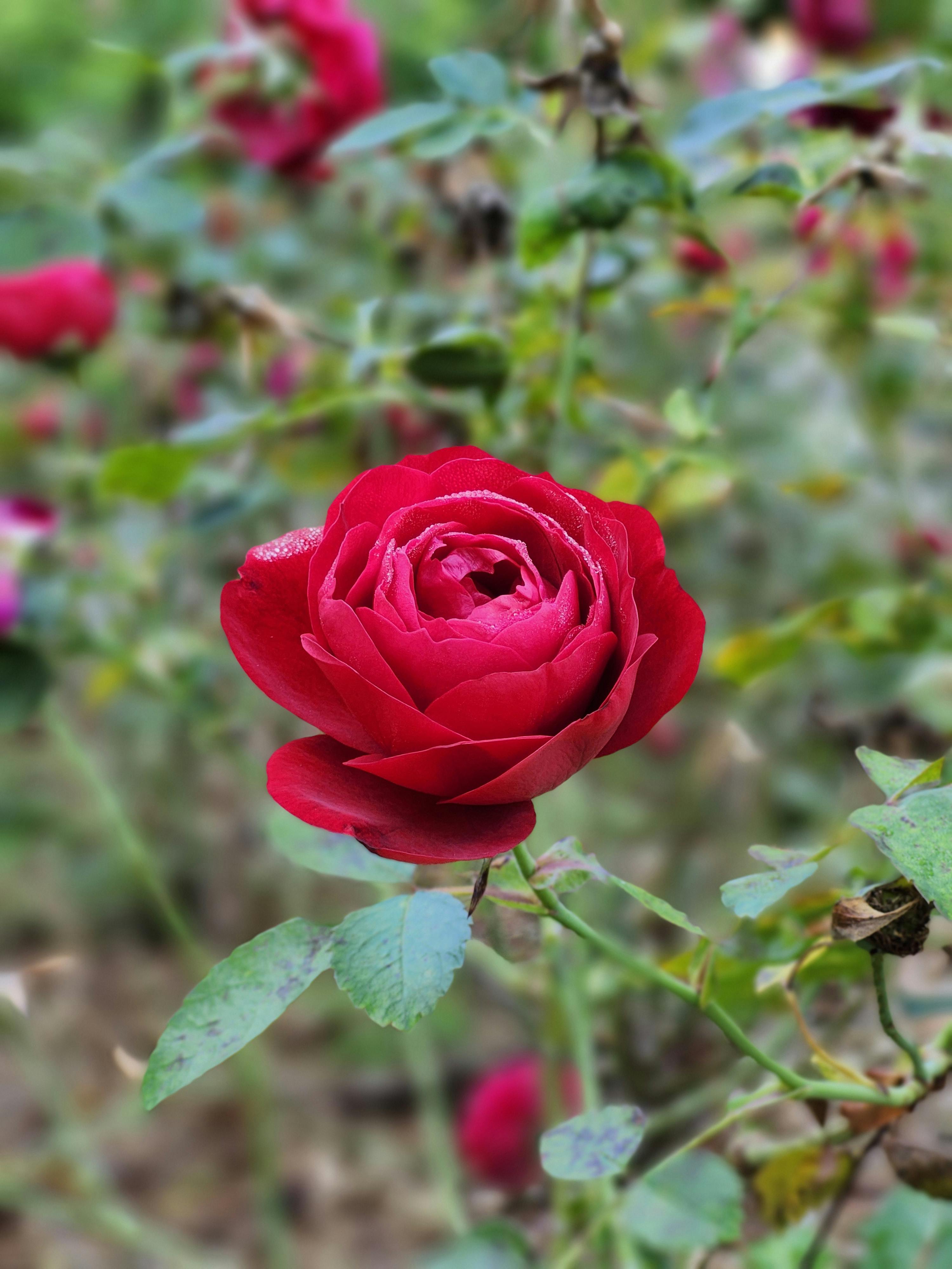 Full+Frontal+Vigina Photos, Download The BEST Free Full+Frontal+Vigina ...