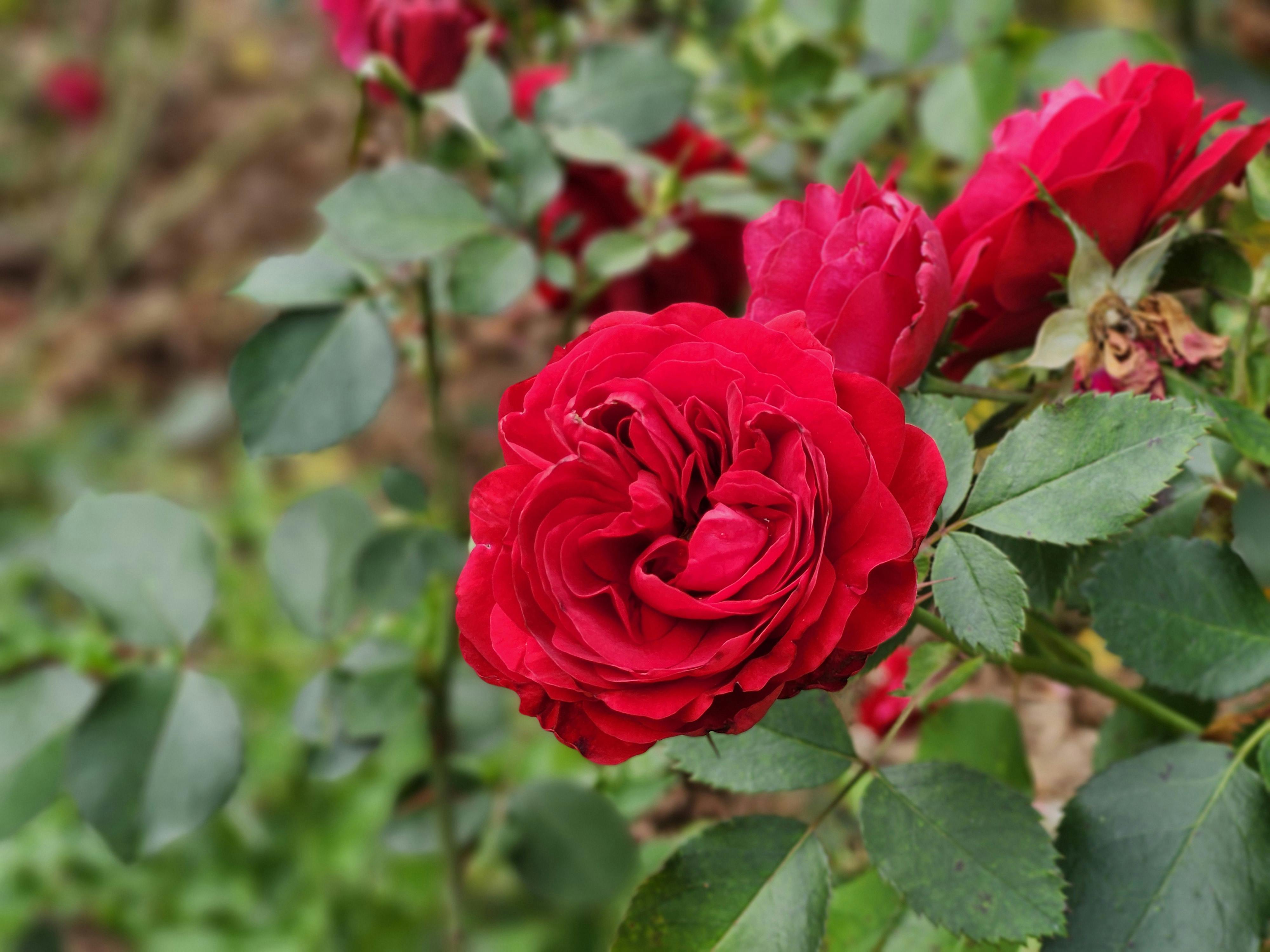 Full+Frontal+Vigina Photos, Download The BEST Free Full+Frontal+Vigina ...