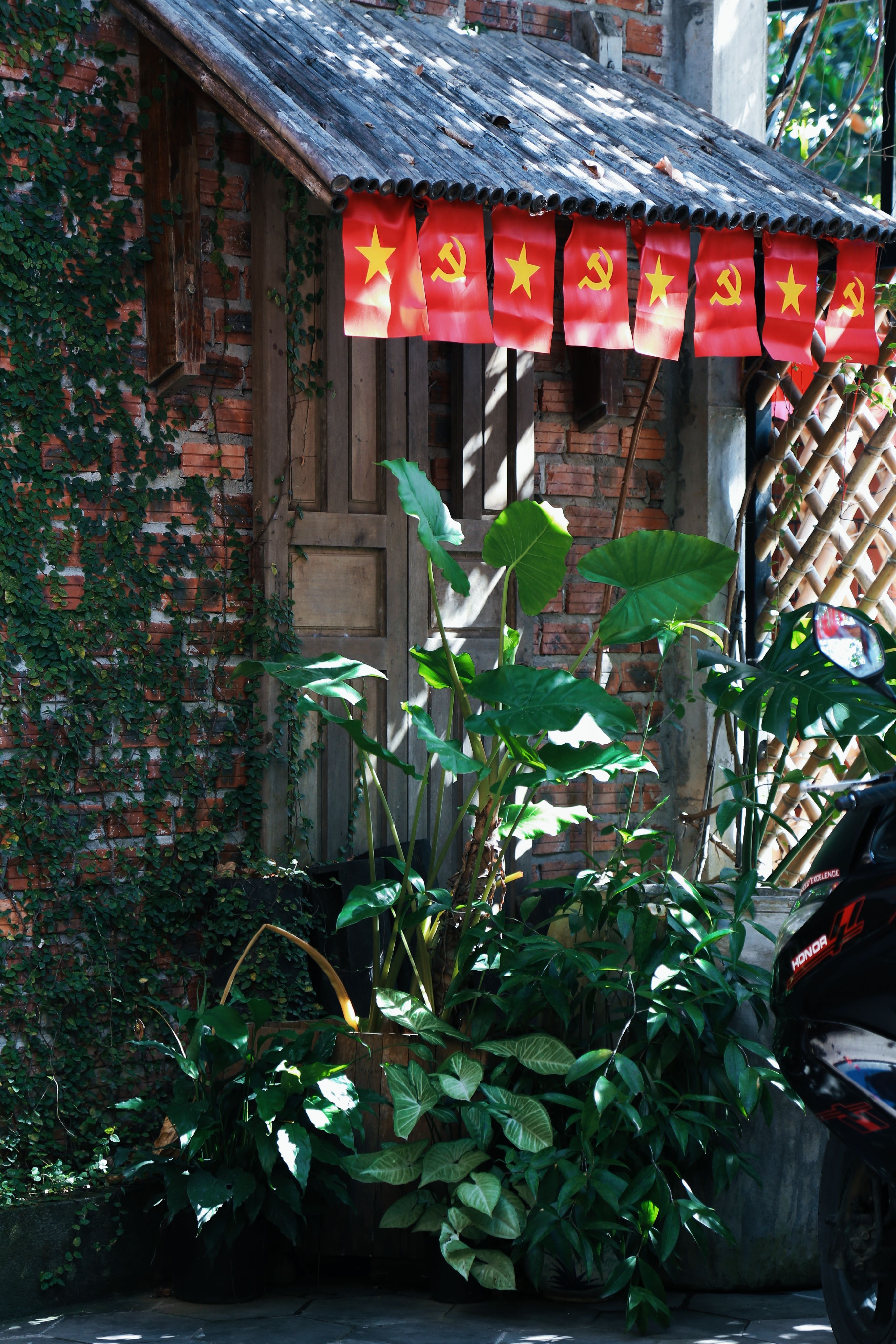 Rustic Building with Vietnamese Flags and Greenery · Free Stock Photo