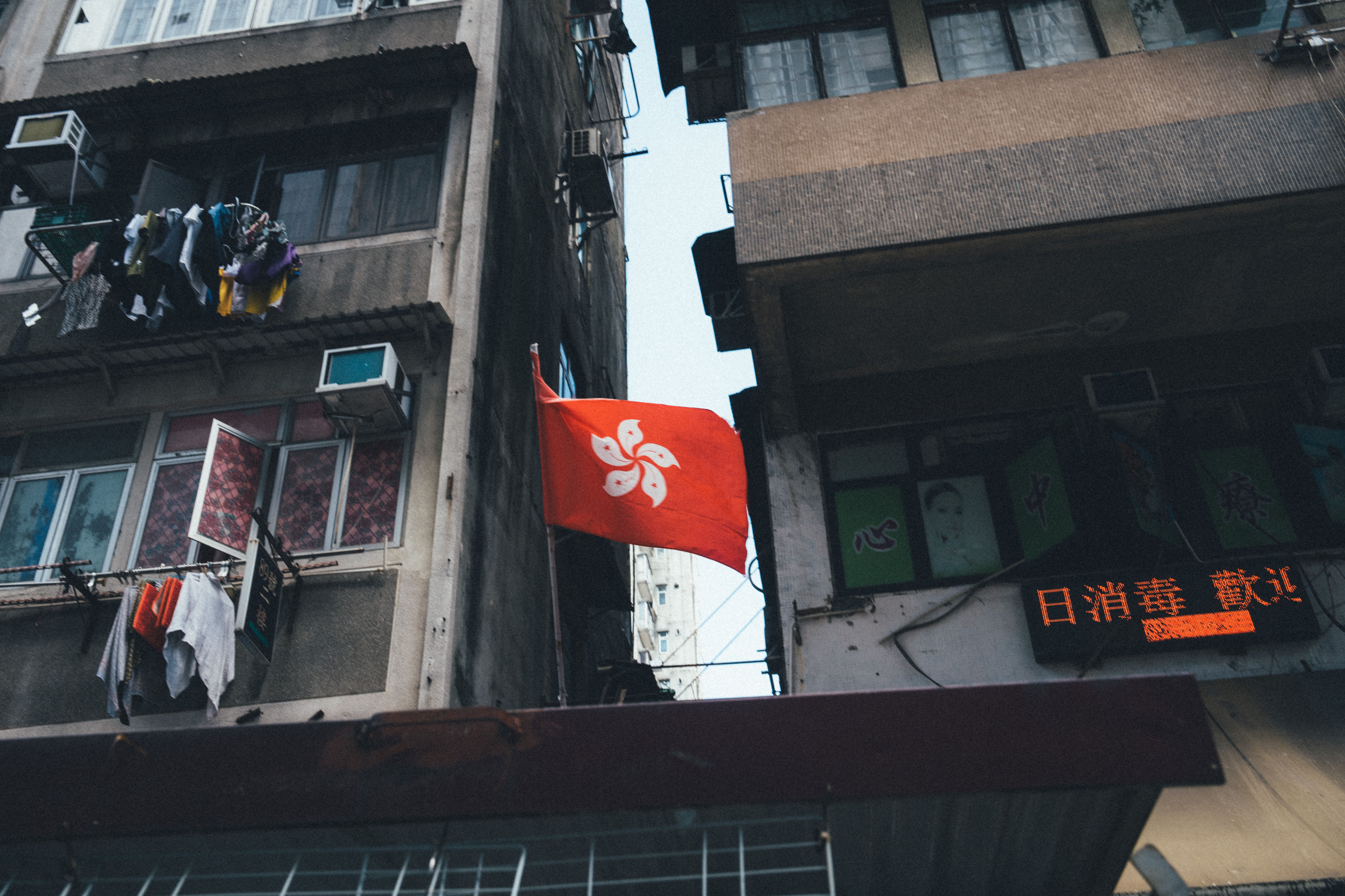 Maori Flag Photos, Download The BEST Free Maori Flag Stock Photos & HD ...