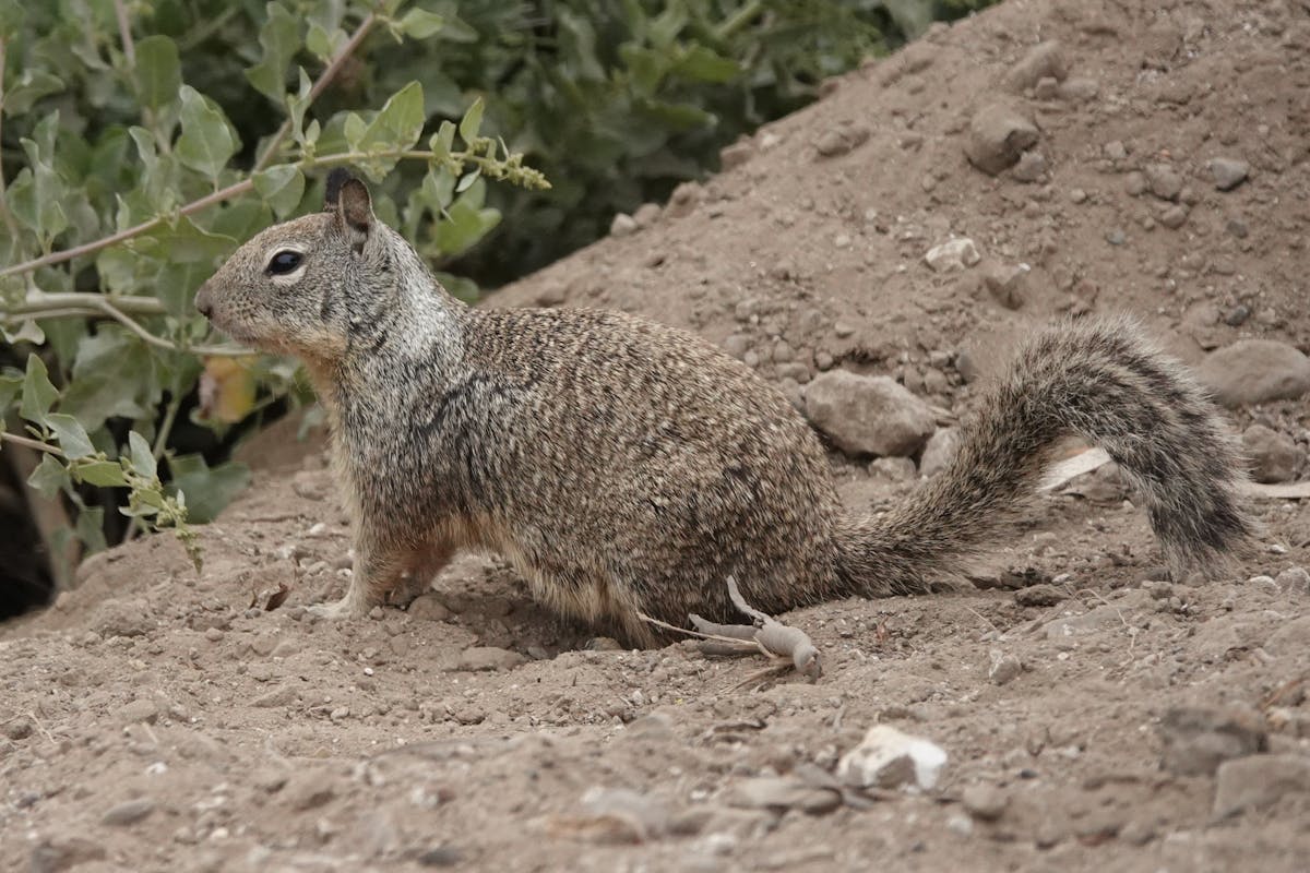 Types Of Soil Photos, Download The BEST Free Types Of Soil Stock Photos ...